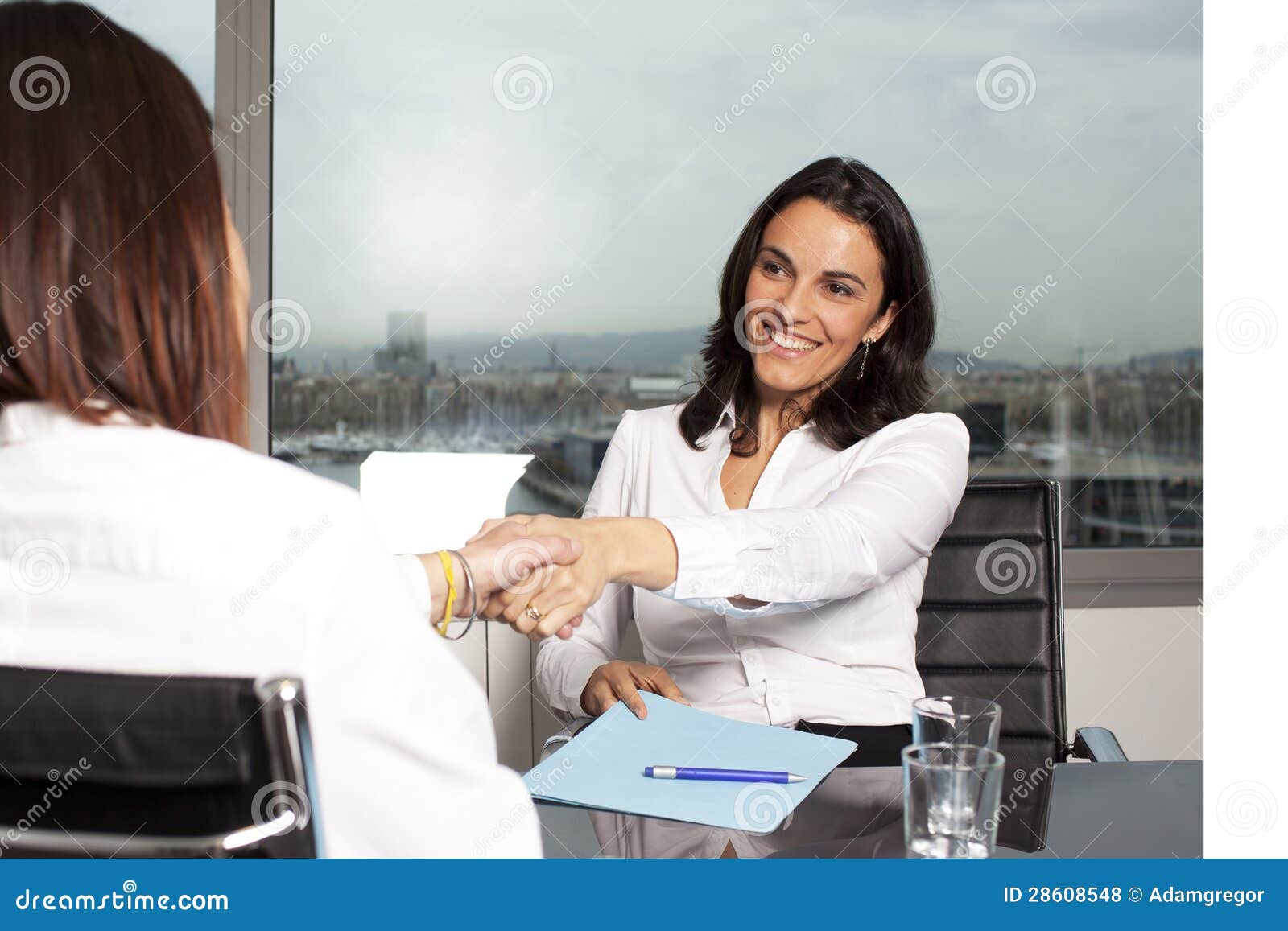 Vrouwelijke bankier stock foto. Image of lening, huur - 28608548