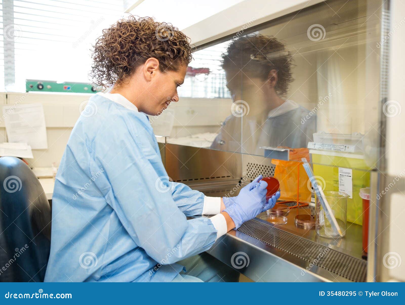 Vrouwelijke Wetenschapper Experimenting in Laboratory Stock Afbeelding ...