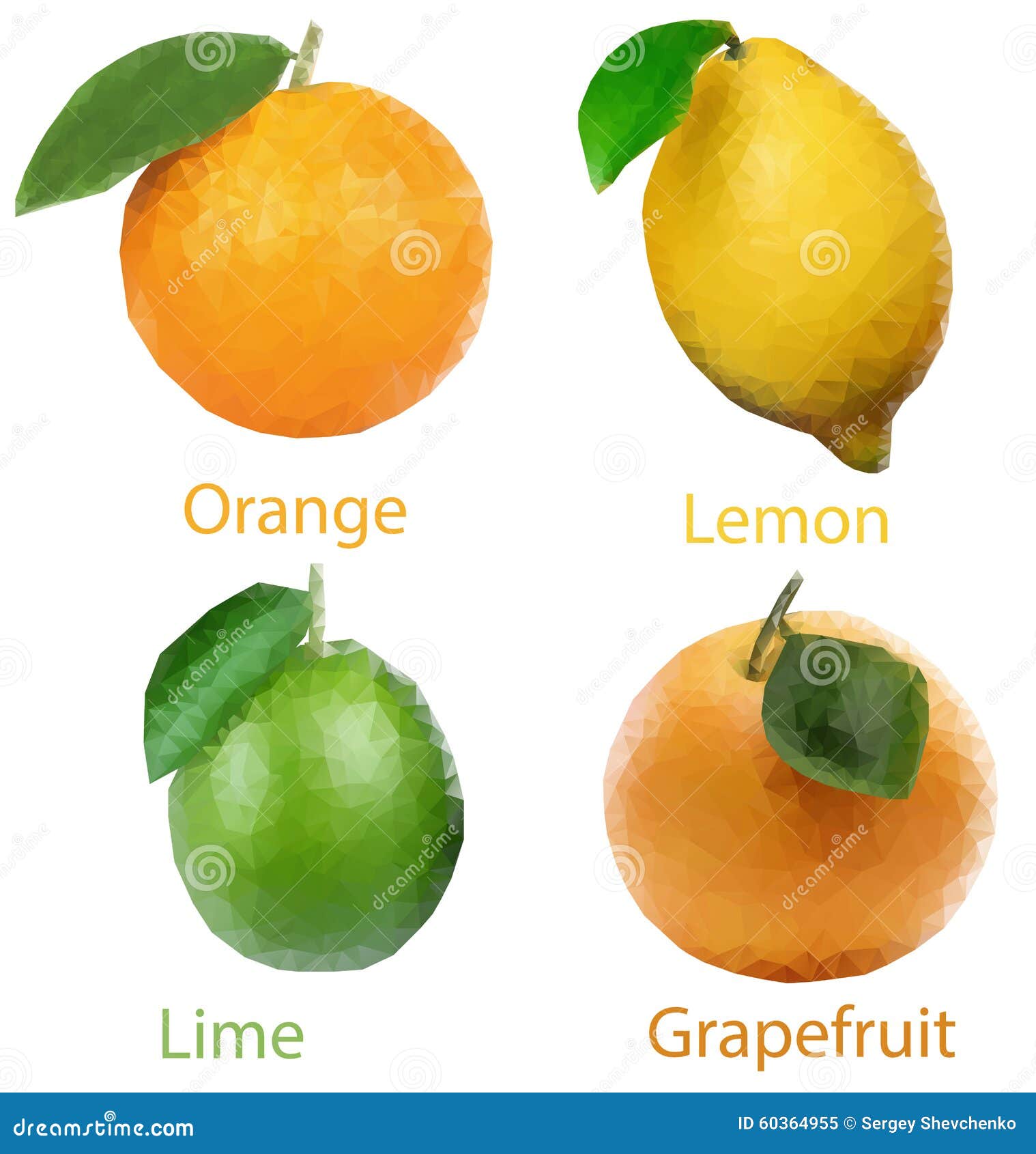 Vruchten 4 vector illustratie. Illustration of illustraties - 60364955