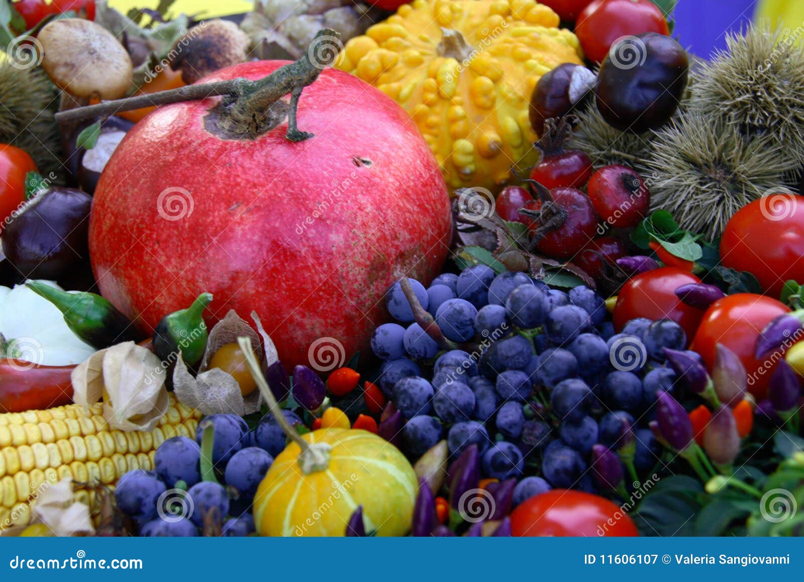 Vruchten en groenten stock afbeelding. Image of pompoen - 11606107