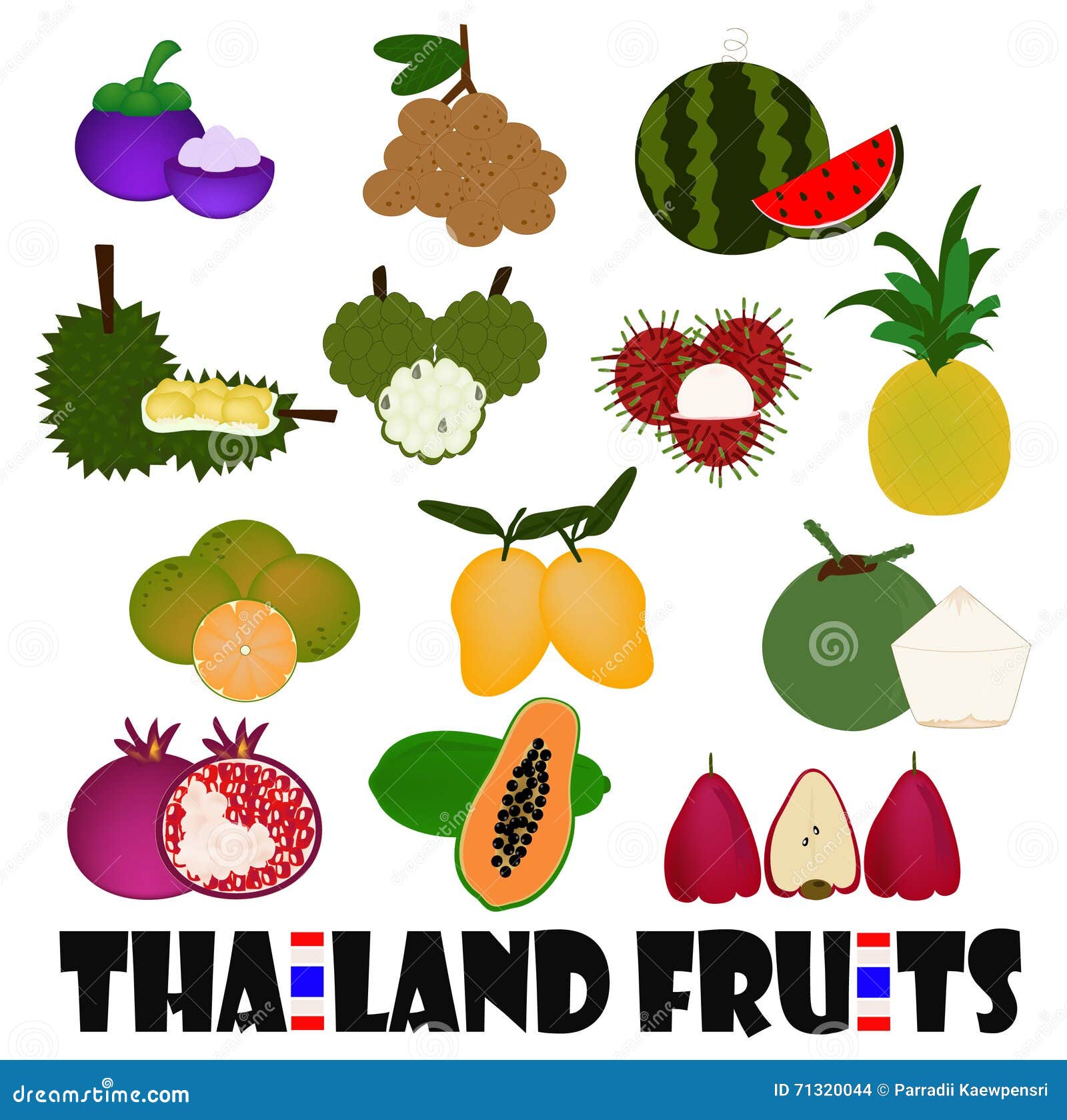 Vruchten van Thailand vector illustratie. Illustration of vector - 71320044