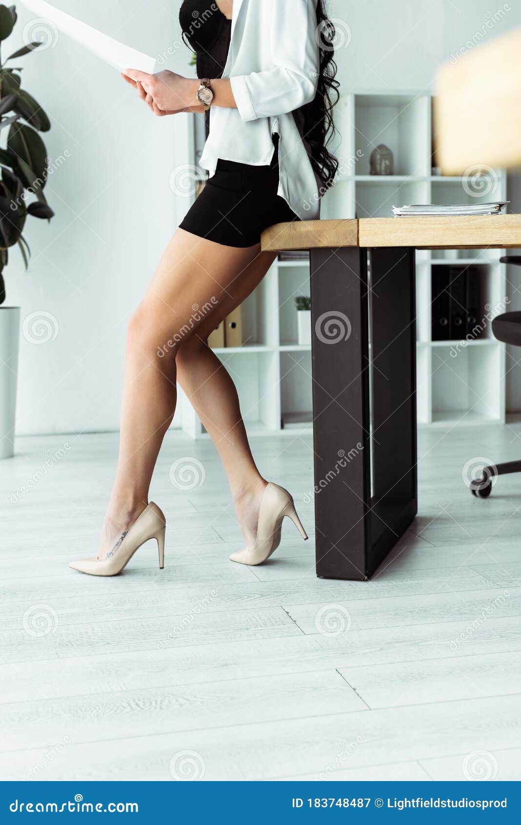 Vue Cultivée De Se Tenir Debout Sexy De Secrétaire Image Stock Image