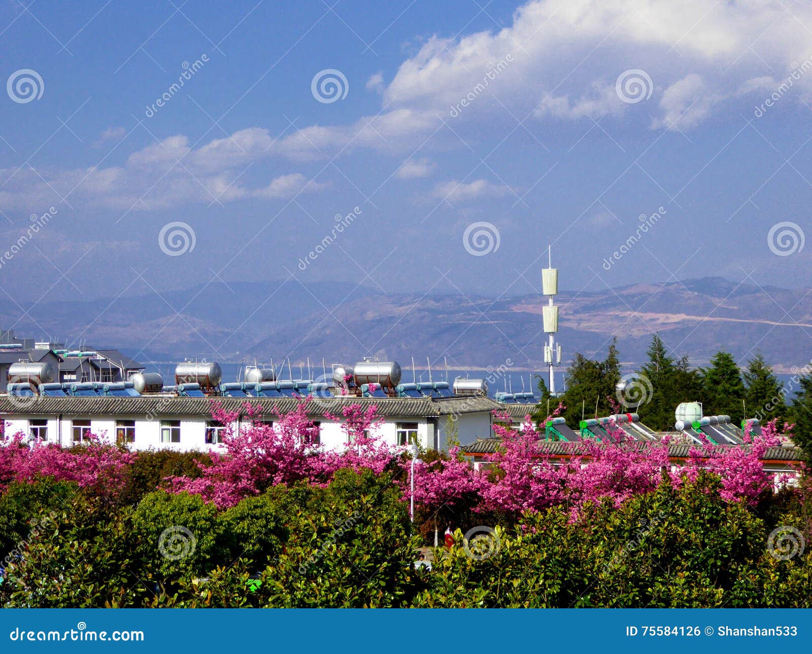 Vue De Cangshan De Dali University Photo stock - Image du constructions ...