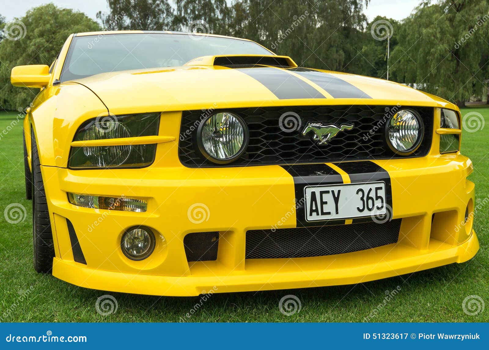 Vue De Face Du Model 2005 De Ford Mustang Photographie éditorial ...