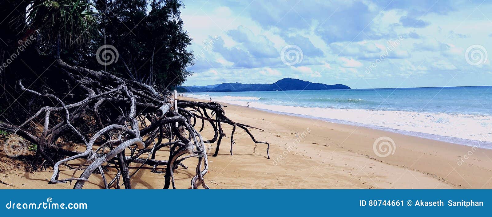 Vue de mer image stock. Image du herbe, fond, texture - 80744661