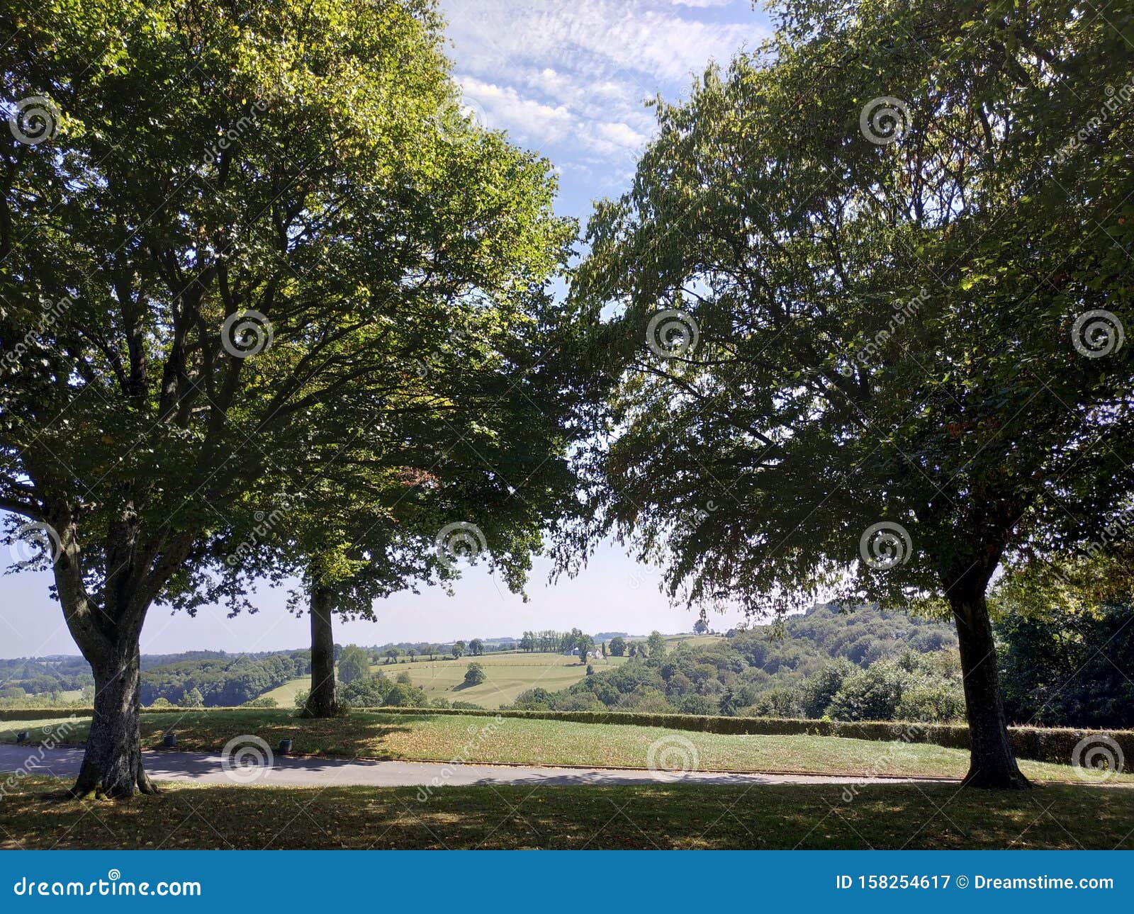 Vue entre deux arbres imagen de archivo. Imagen de horizonte - 158254617
