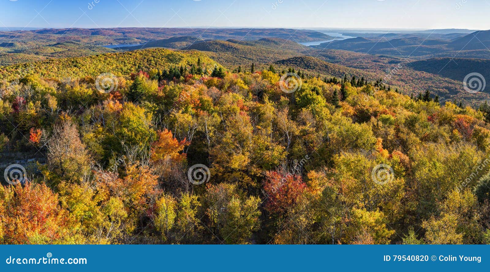 Vue Panoramique Du Sud De Hadley Mountain Fire Tower Photo stock ...