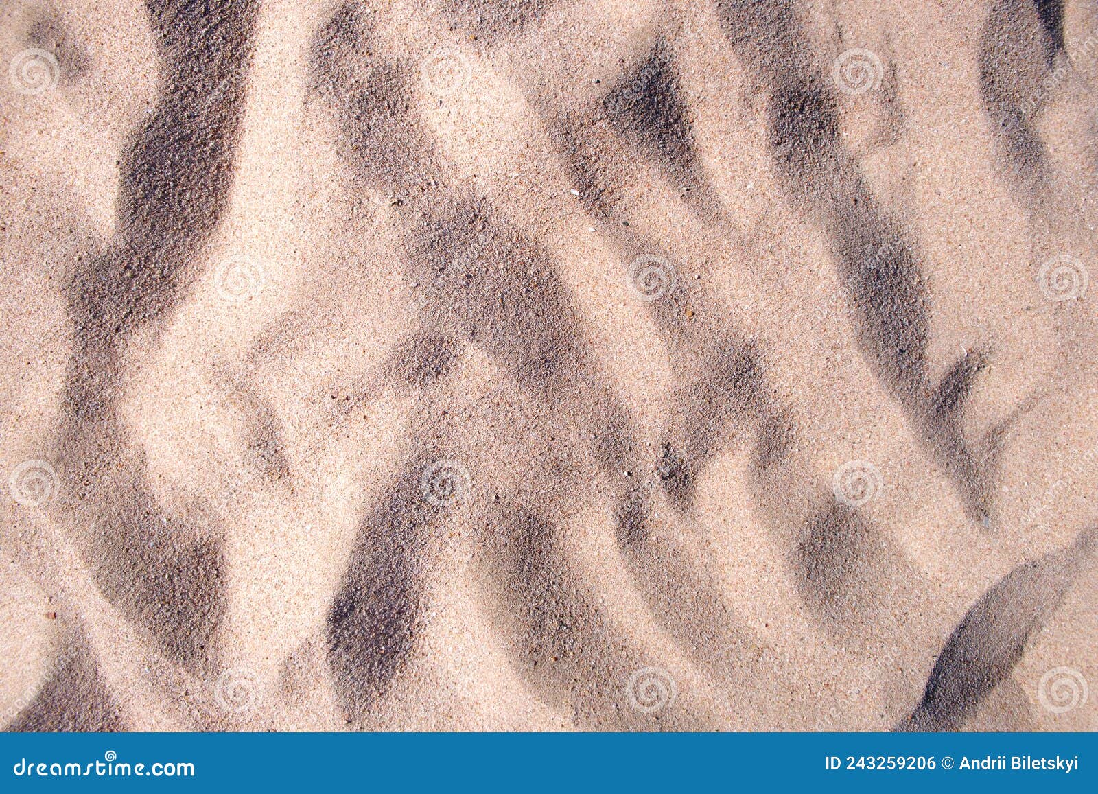 Vue Plate Sur La Plage De Sable Jaune Propre. Texture Sablonneuse Photo ...