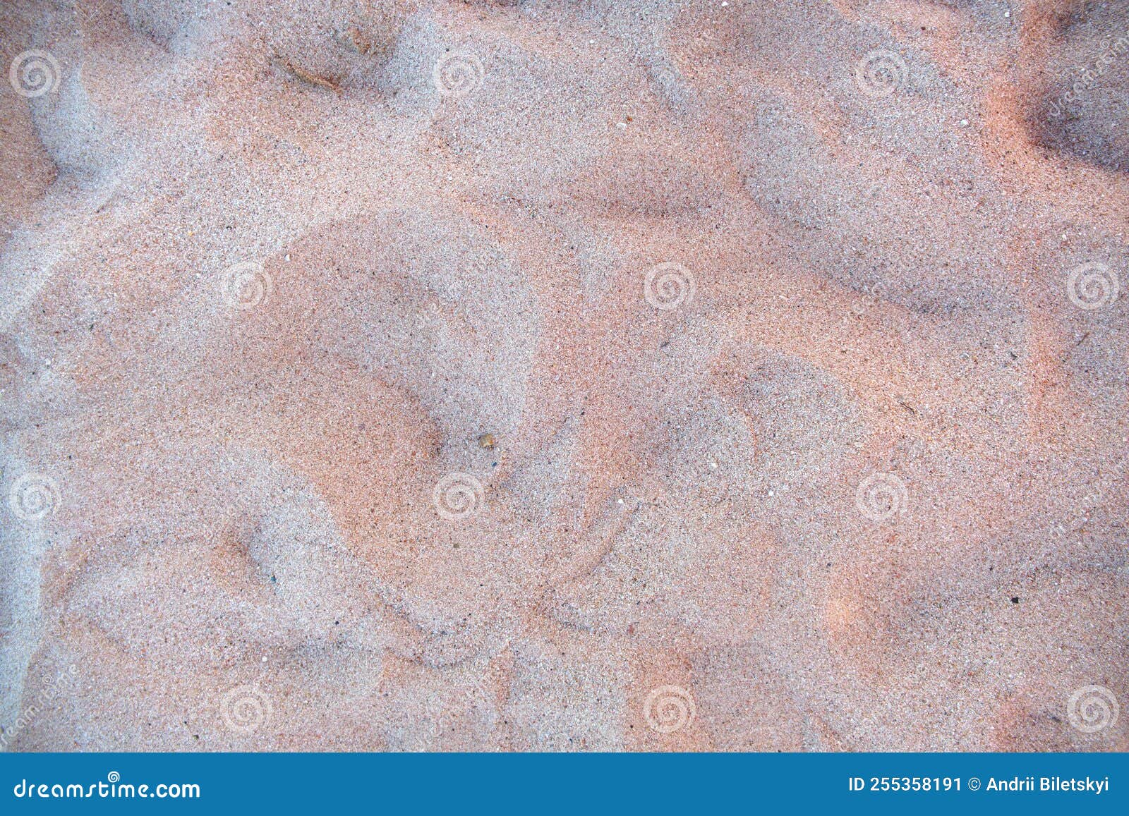 Vue Plate Sur La Plage De Sable Jaune Propre. Texture Sablonneuse Image ...