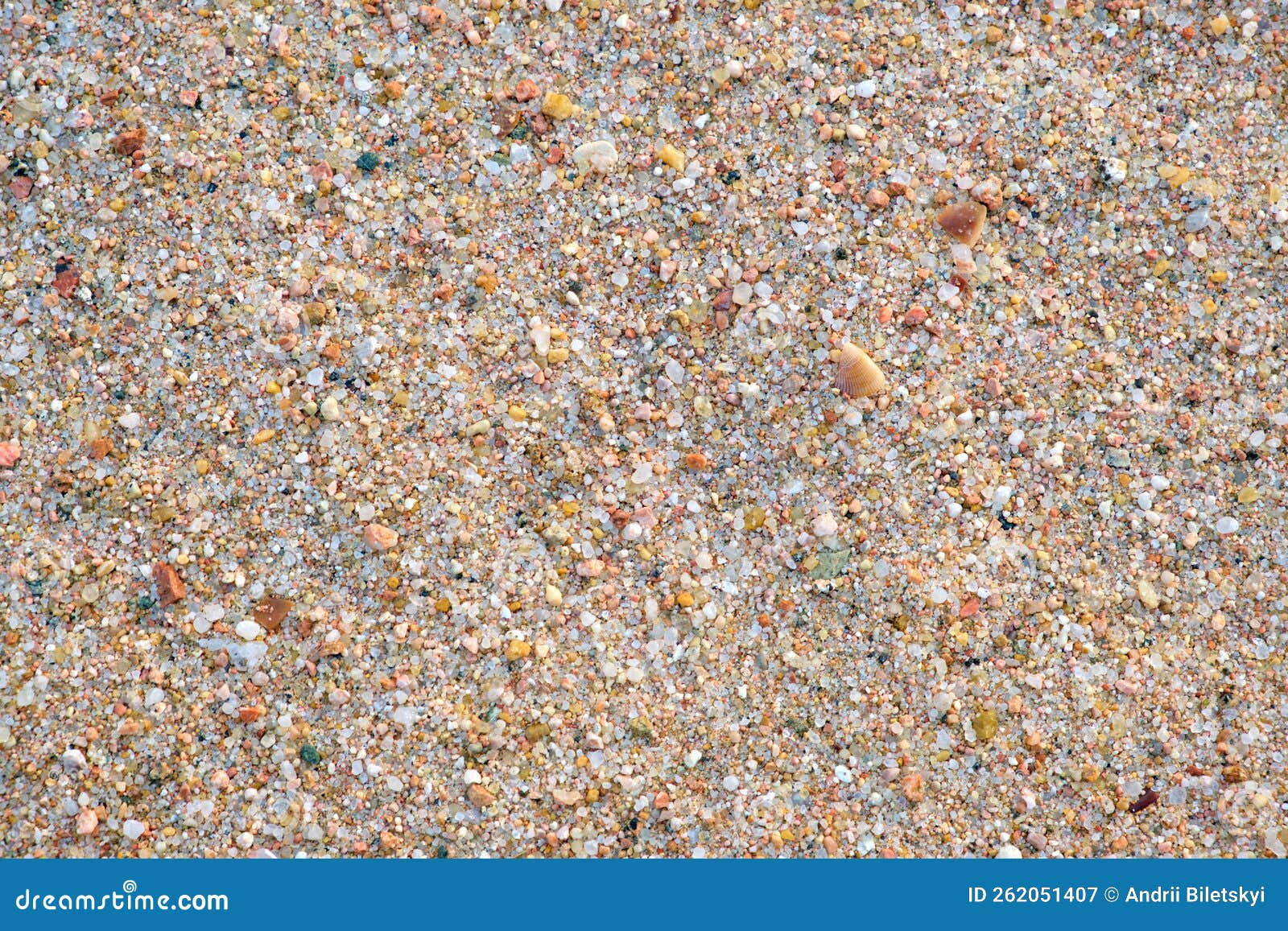 Vue Plate Sur La Plage De Sable Jaune Propre. Texture Sablonneuse Image ...
