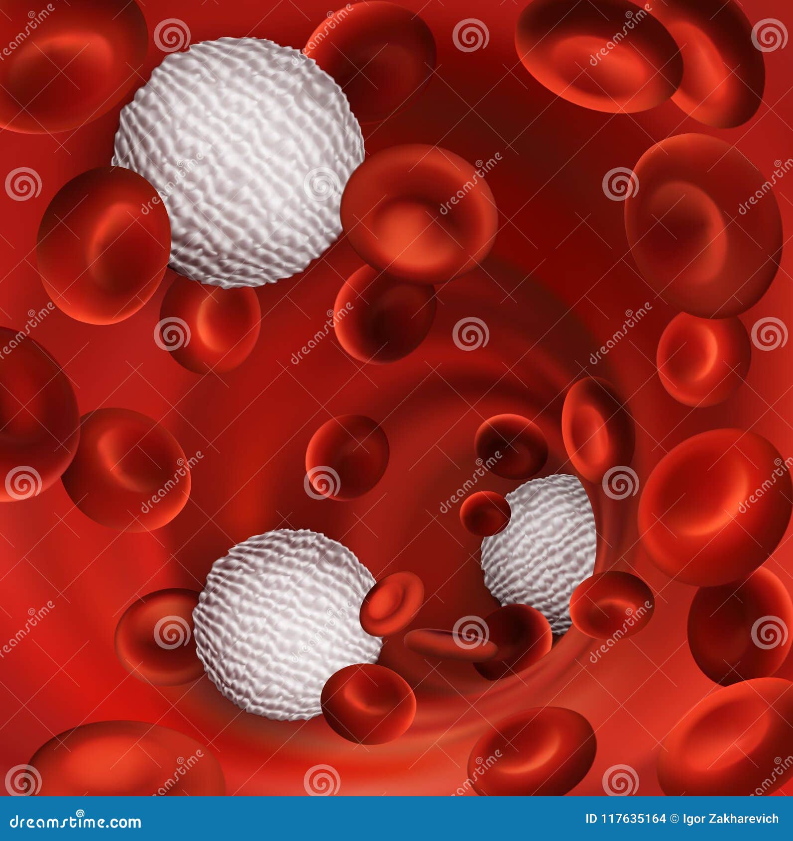 Vue Sous Un Microscope, Globules Sanguins Rouges Sang Illustration de ...