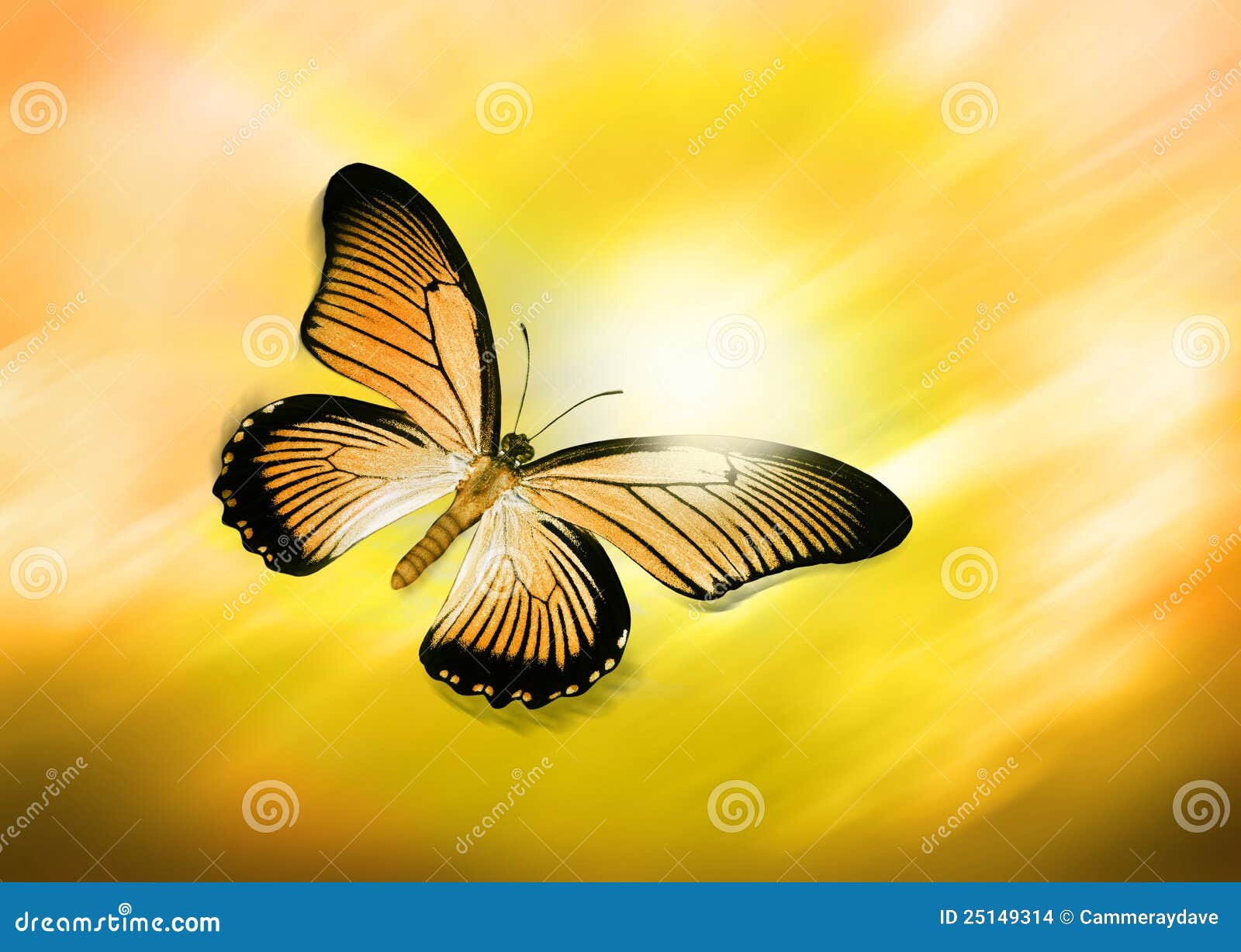 Vuelo Amarillo De La Mariposa Foto De Archivo Imagen De Color Suerte