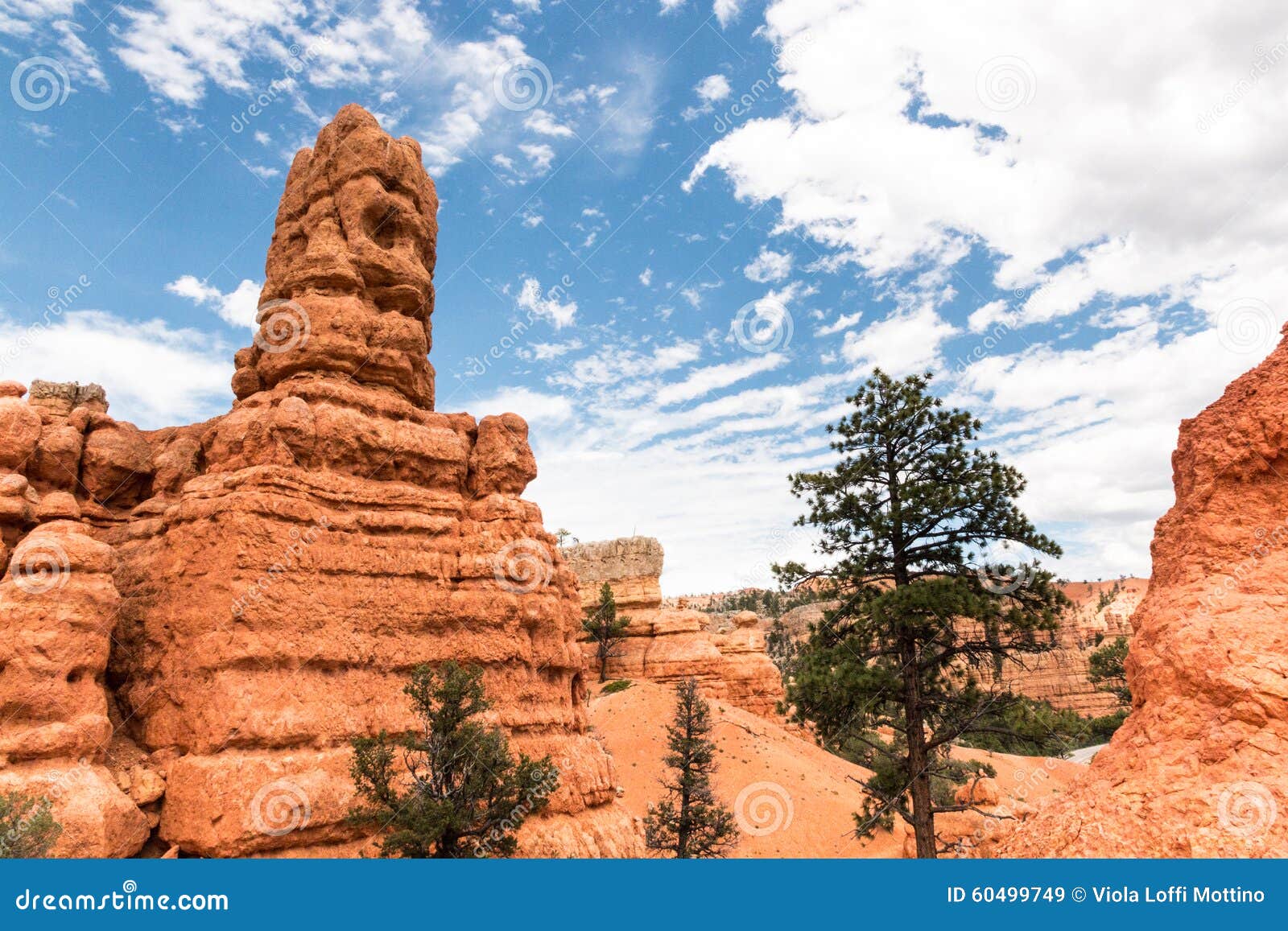 Vues De Canyon Rouge De Roche, Nevada Image stock - Image du repères ...