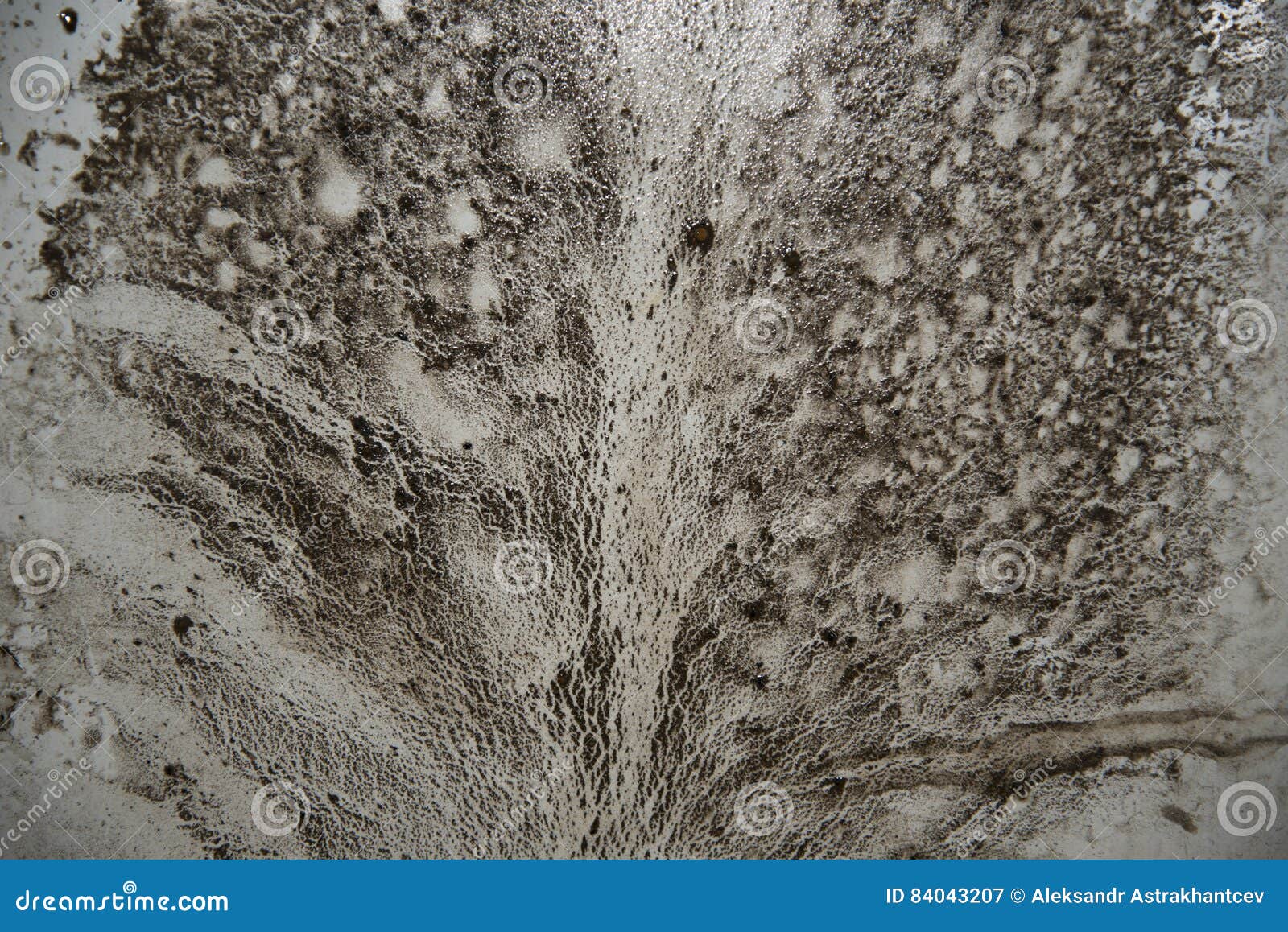 Vuil in Een Oud Bad Dat Zeer Als Een Boom is Stock Afbeelding - Image ...