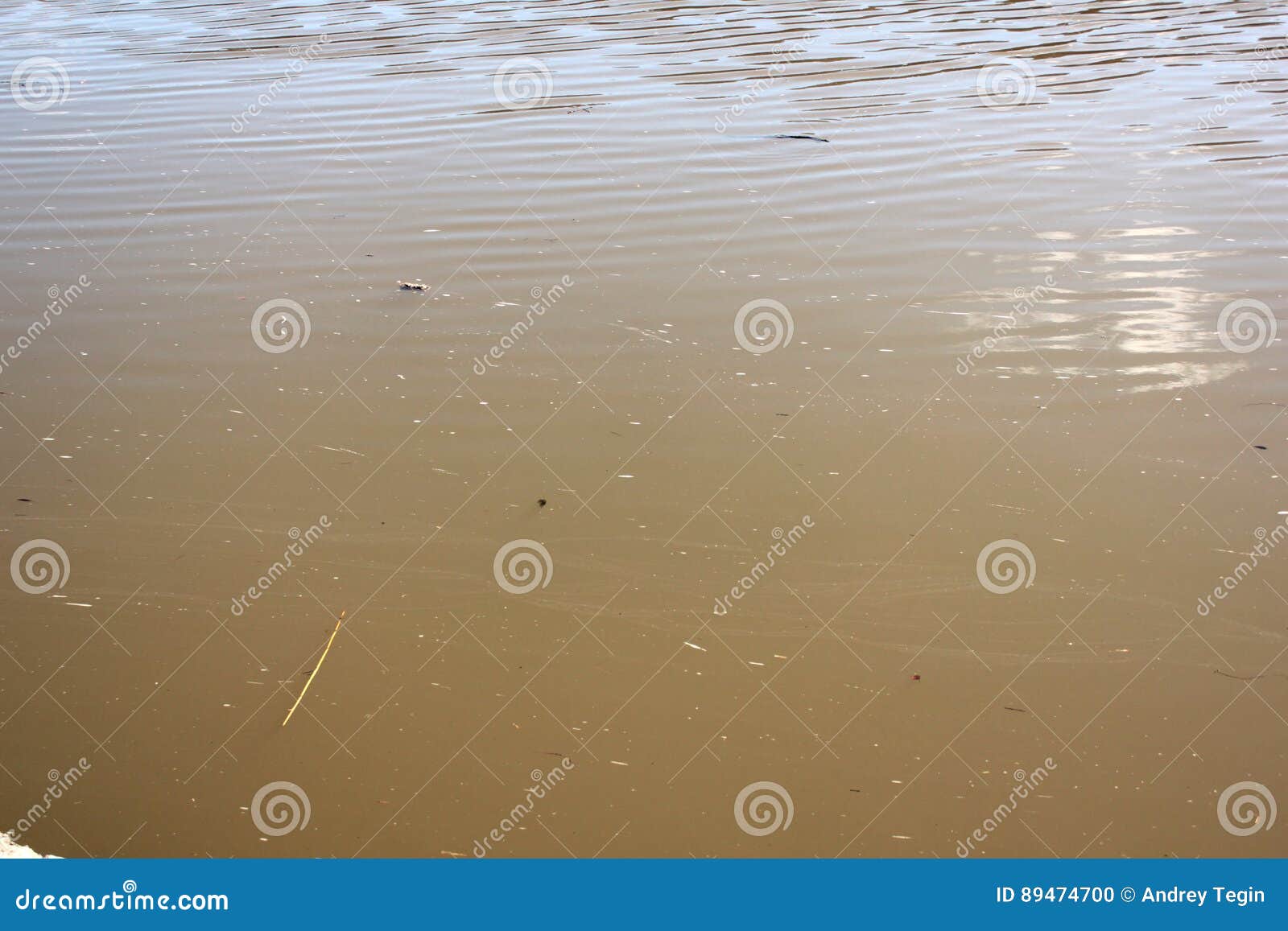 Vuil water in de rivier stock foto. Image of milieu, modder - 89474700