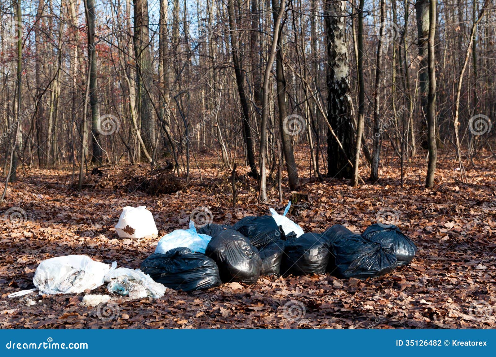 Vuilnis in het bos stock foto. Image of vuil, polen, kwestie - 35126482