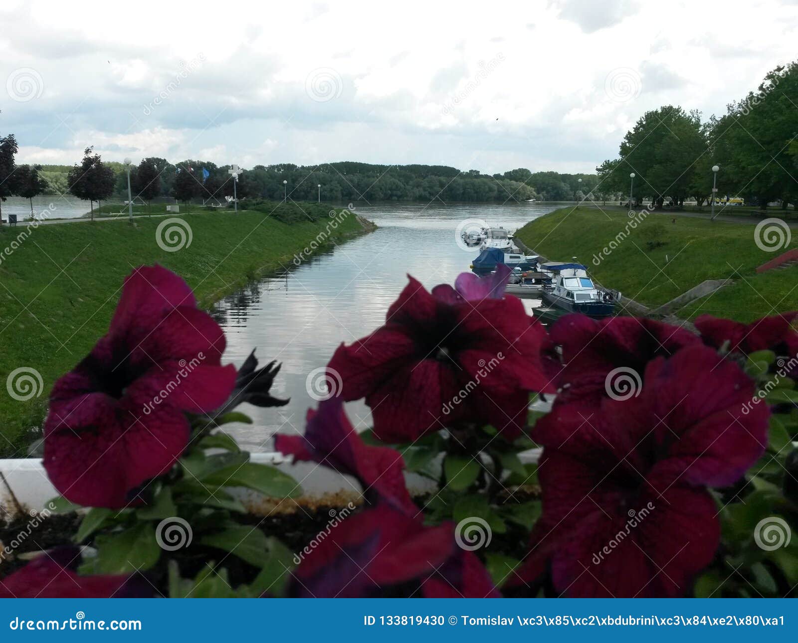 Vukovar river Dunav stock photo. Image of dunav, river - 133819430