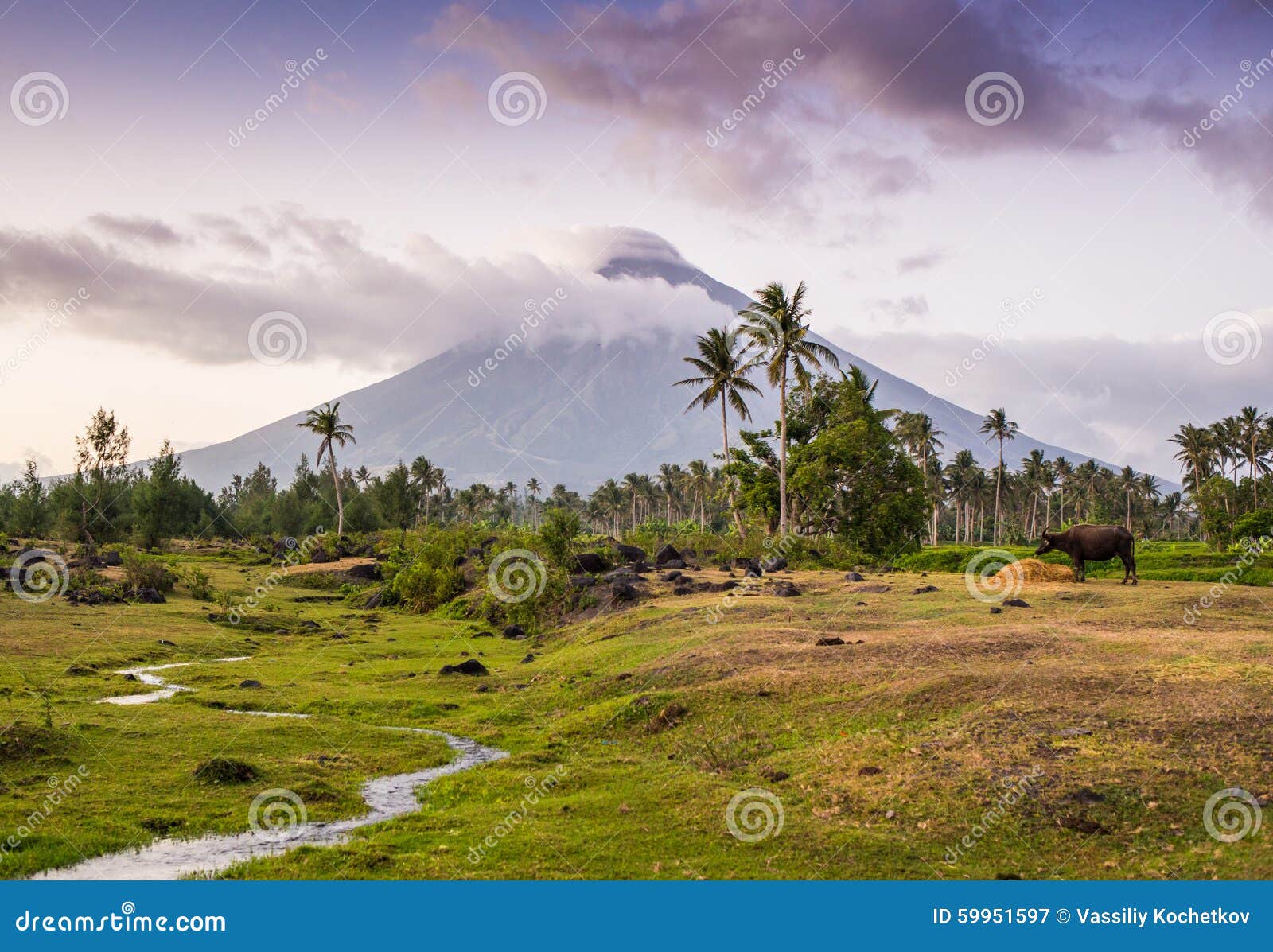 Mount Mayon Volcano Landscape Luzon Philippines Royalty-Free Stock ...