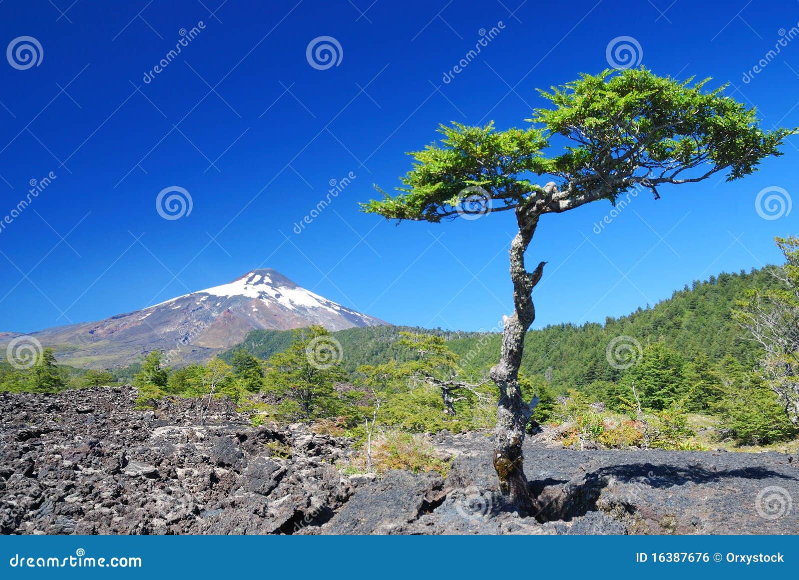 Vulkaan Villarrica stock foto. Image of stijging, sneeuw - 16387676