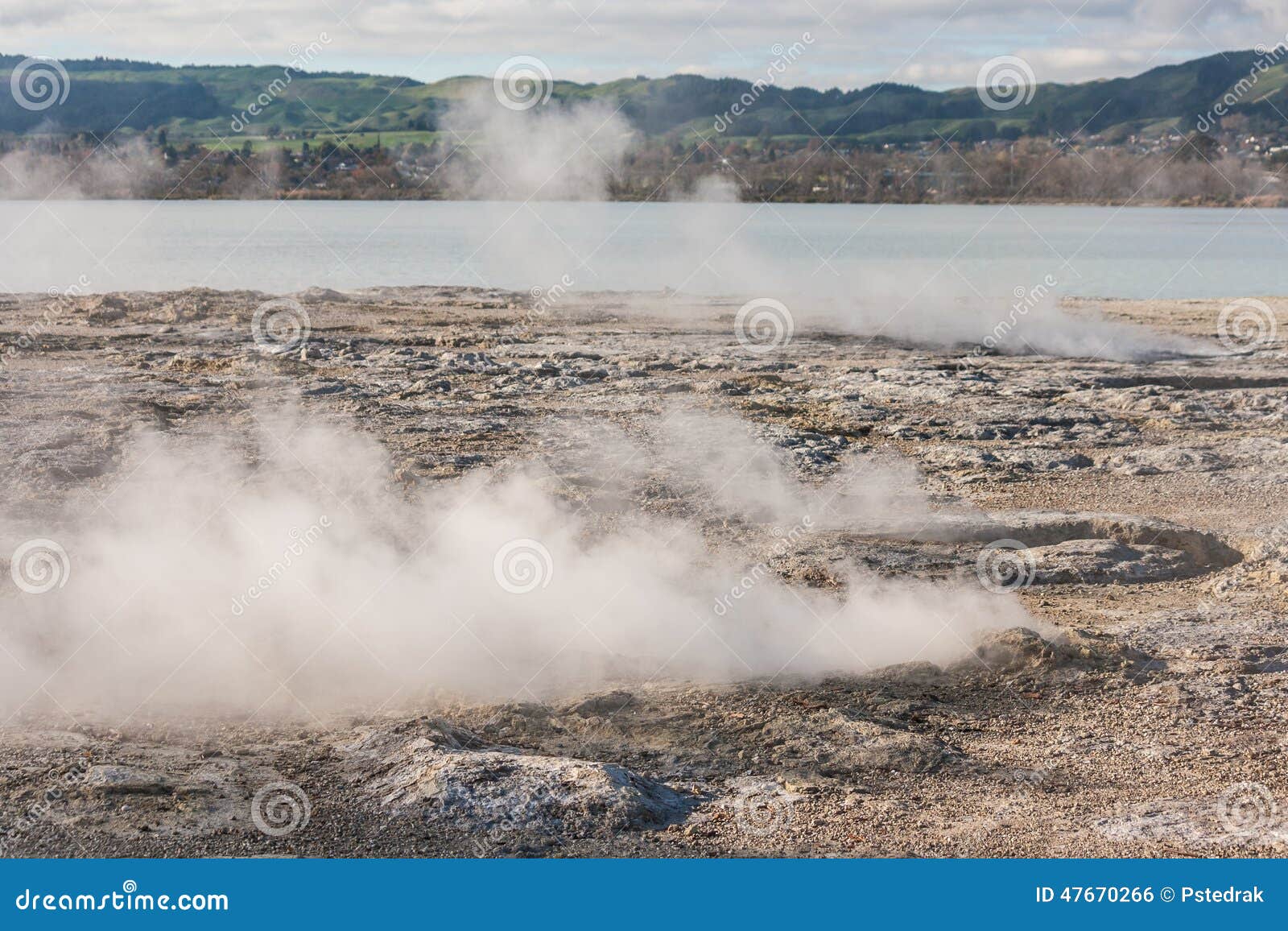 Vulkanische Fumarolen Bij Meer Rotorua Stock Foto - Image of ...