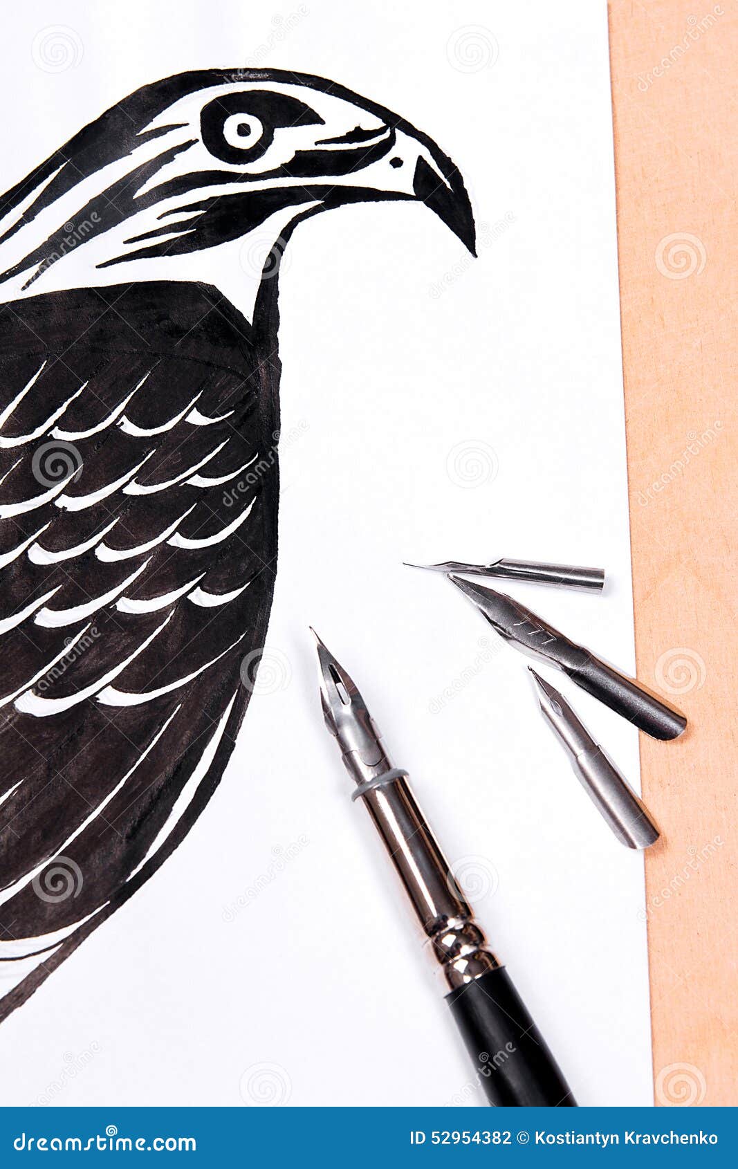 Vulpen Met De Havik Van De Inkttekening Stock Foto - Image of hobby ...