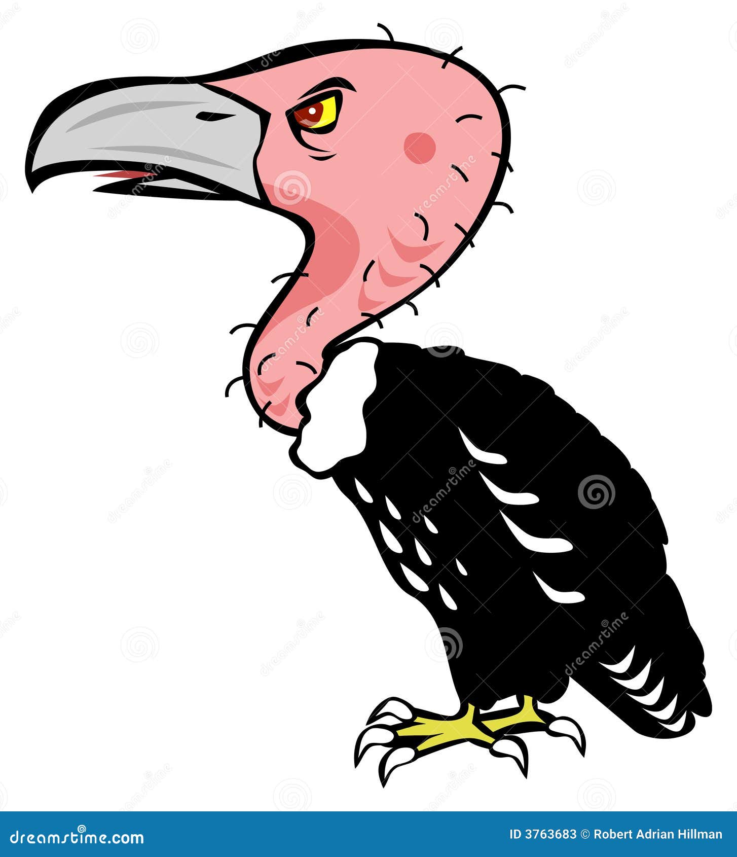 Vulture stock vector. Illustration of cartoon, natural - 3763683
