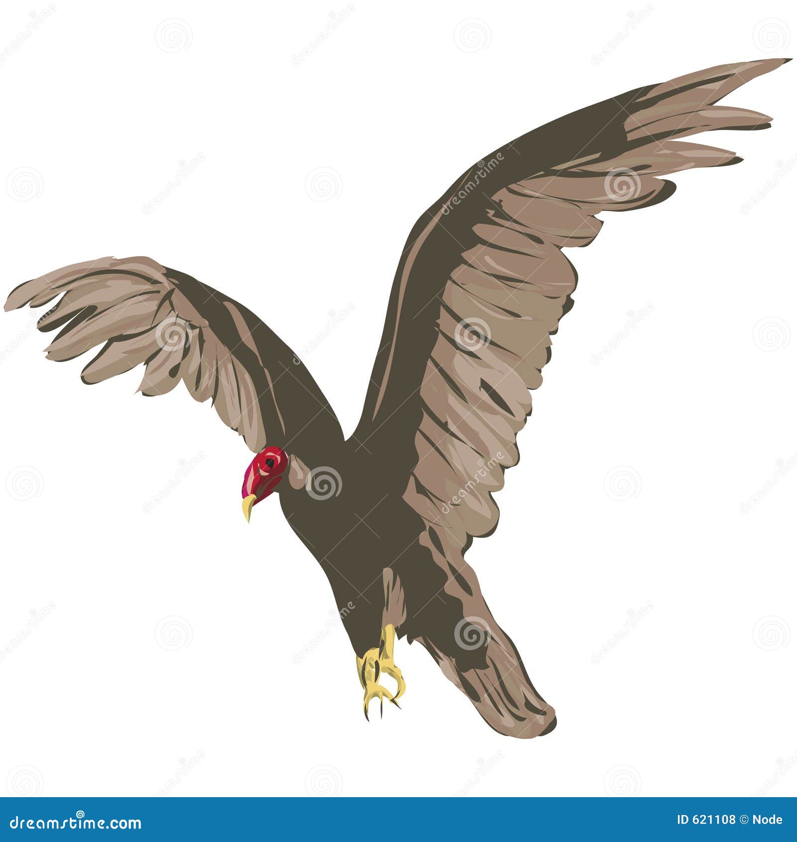 Vulture with clipping path stock illustration. Illustration of vulture ...