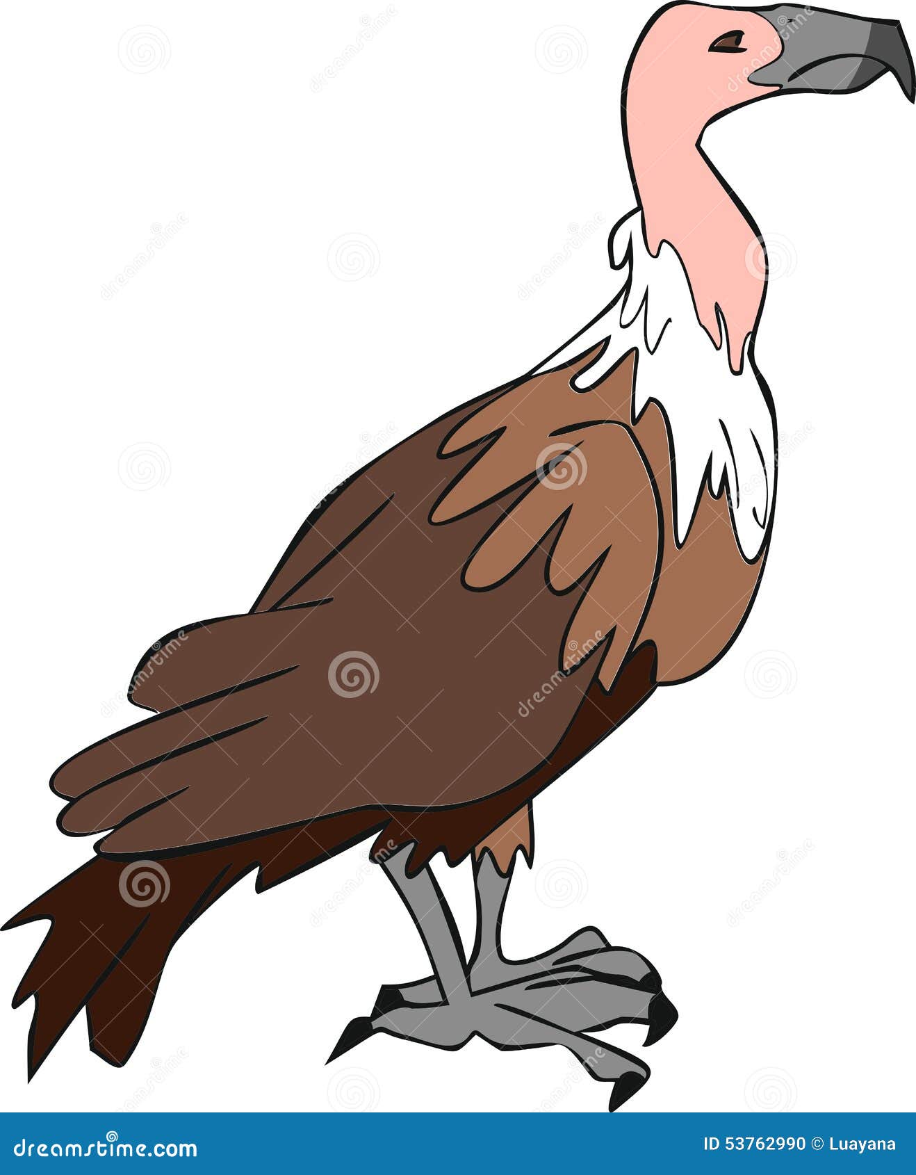 Vulture stock vector. Illustration of drawing, creature - 53762990