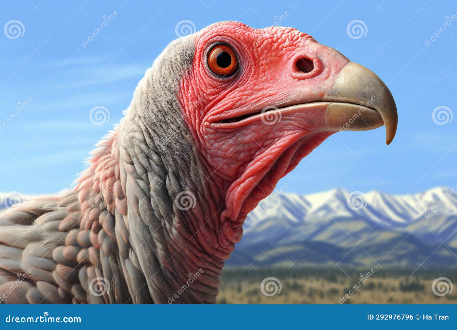 Vulture Head in Front of Mountains and Blue Sky, Stock Illustration ...