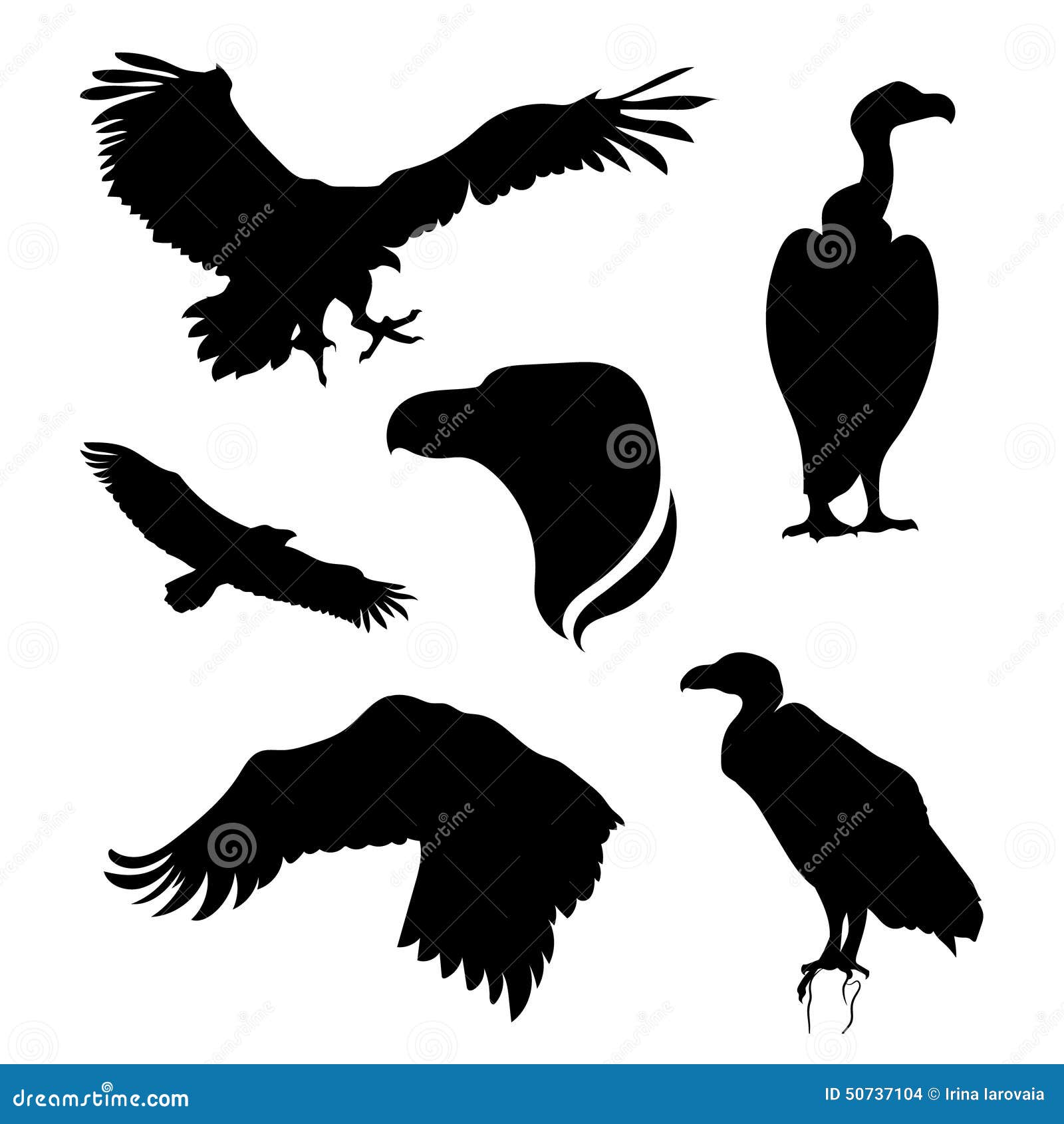 Vulture set vector stock vector. Illustration of silhouette - 50737104