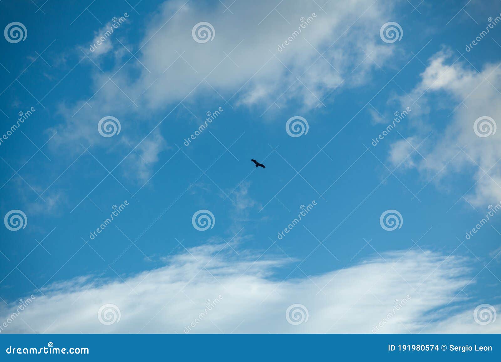 Vulture Silhouette Flying in Blue Sky Stock Photo - Image of heaven ...