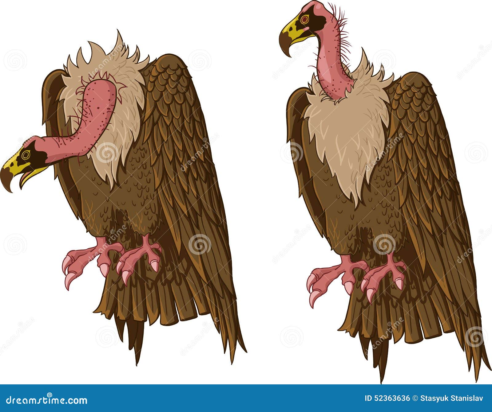 Vulture stock vector. Illustration of tail, prey, hawk - 52363636