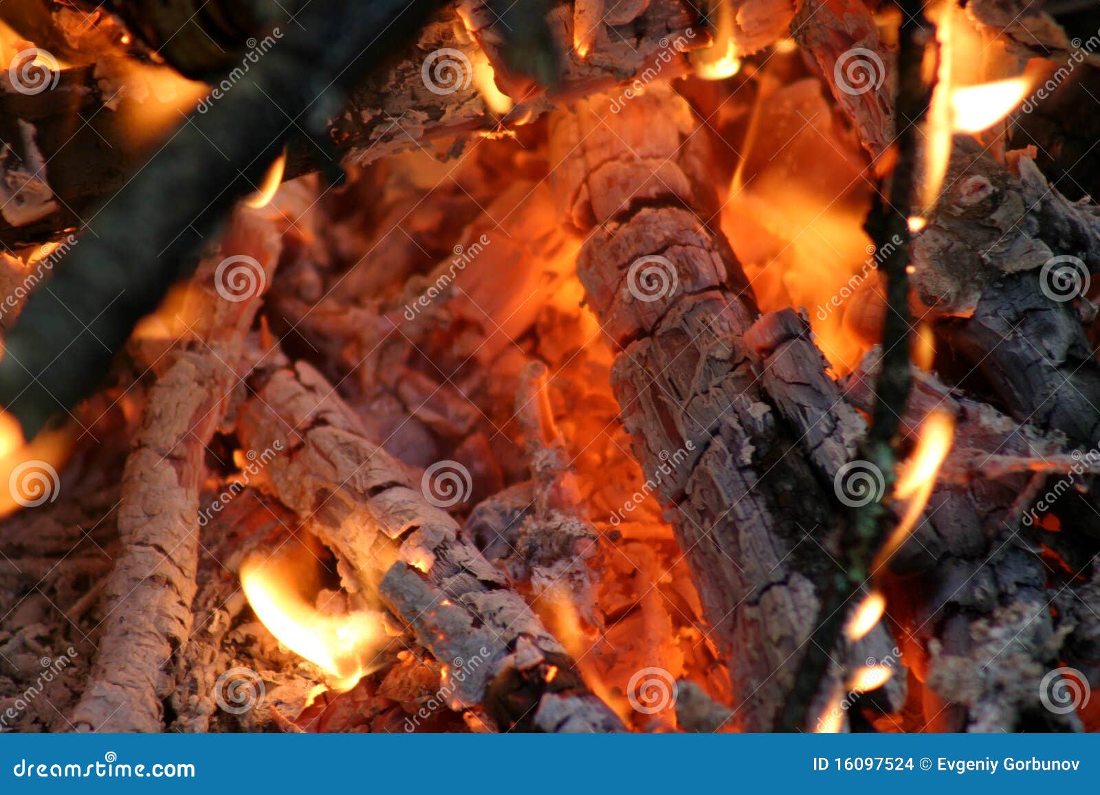 Vuur stock foto. Image of burning, campfire, sluit, rood - 16097524