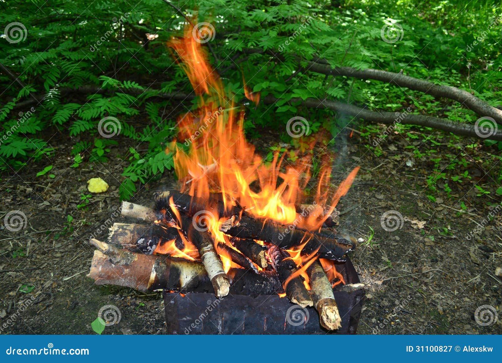 Vuur stock afbeelding. Image of schacht, vuur, brand - 31100827