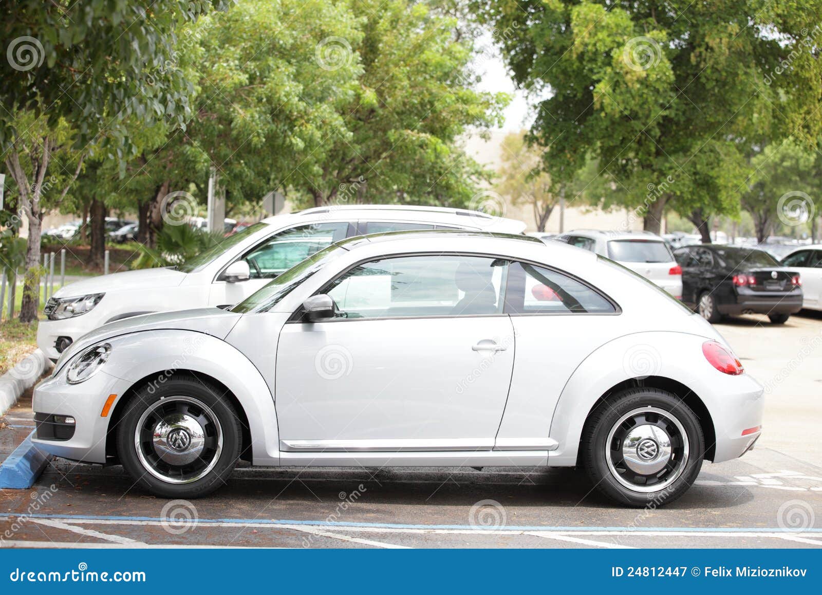 VW 2012 Bettle fotografía editorial. Imagen de cubo, bicho - 24812447
