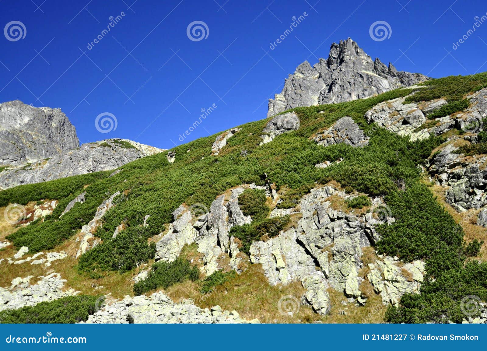 Vysoke Tatry Mountains From Forest Glade Above Janska Dolina Valley In ...