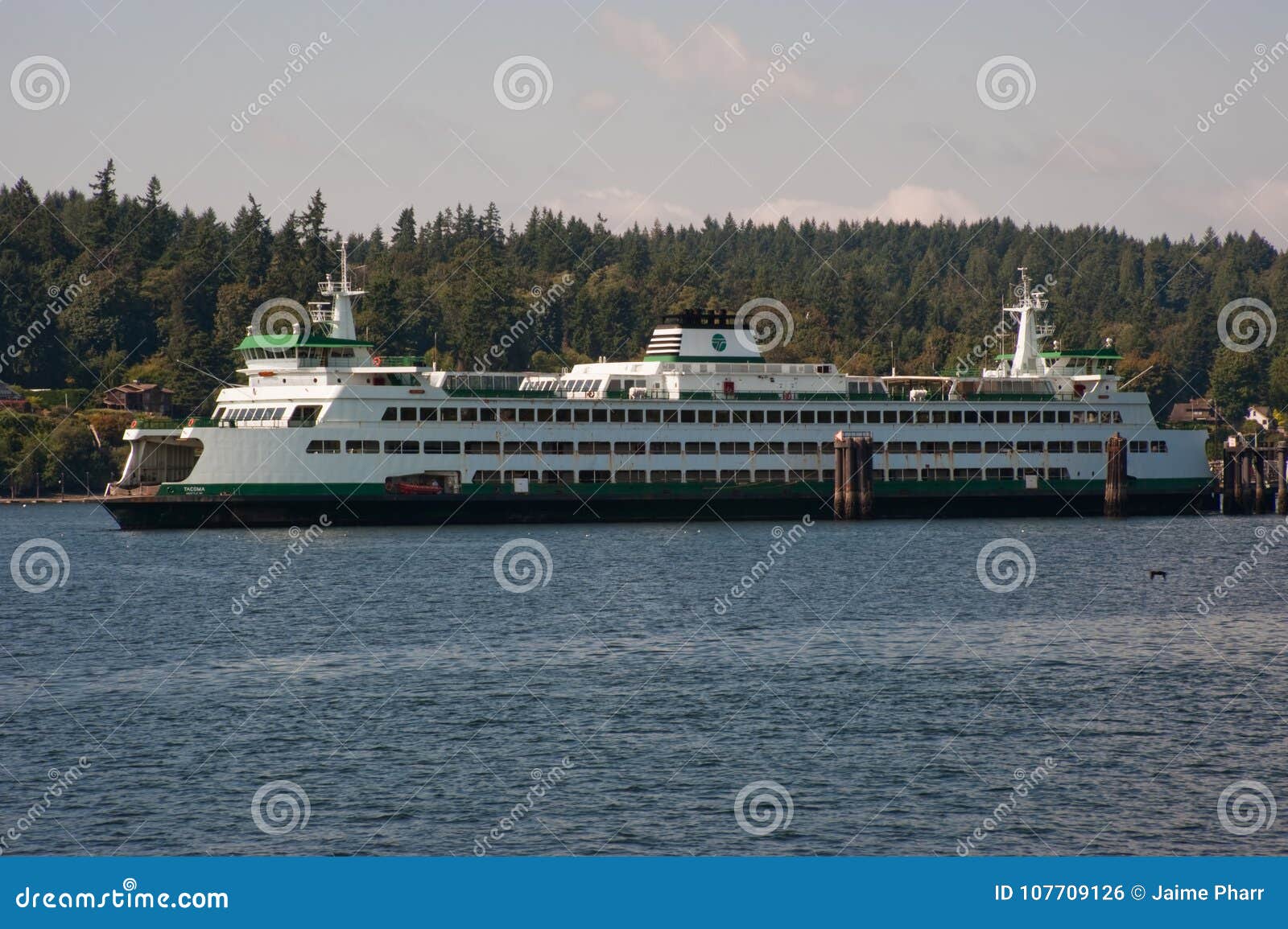 WA state ferry stock photo. Image of transit, maritime - 107709126