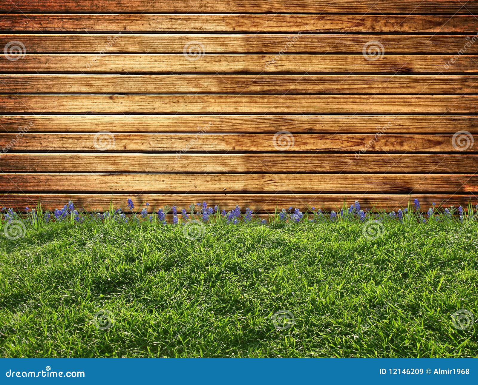 Waal stock image. Image of grass, construction, country - 12146209
