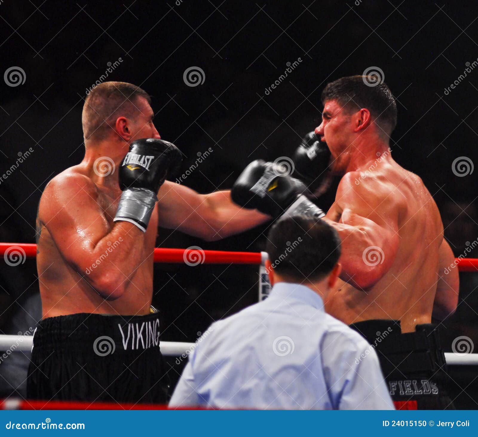 Wach Catches Fields Heavyweight Boxing Editorial Image - Image of ...