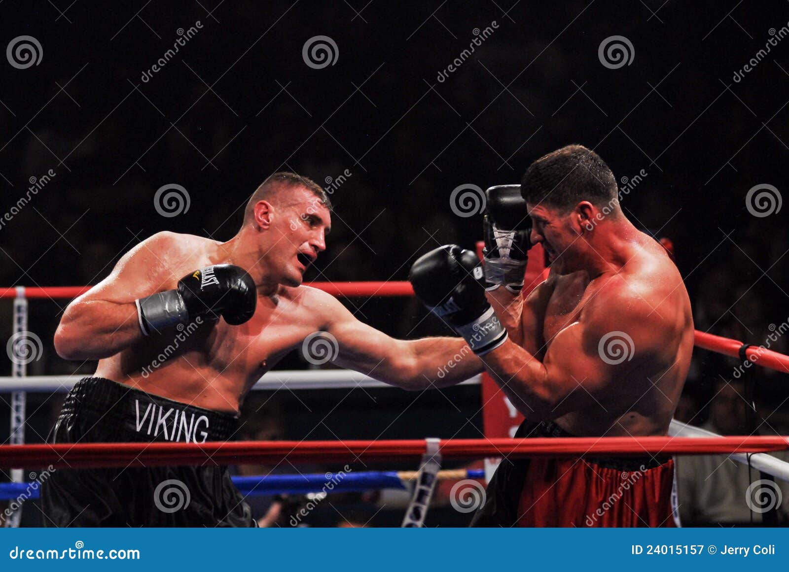 Wach Catches Fields Heavyweight Boxing Editorial Photography - Image of ...