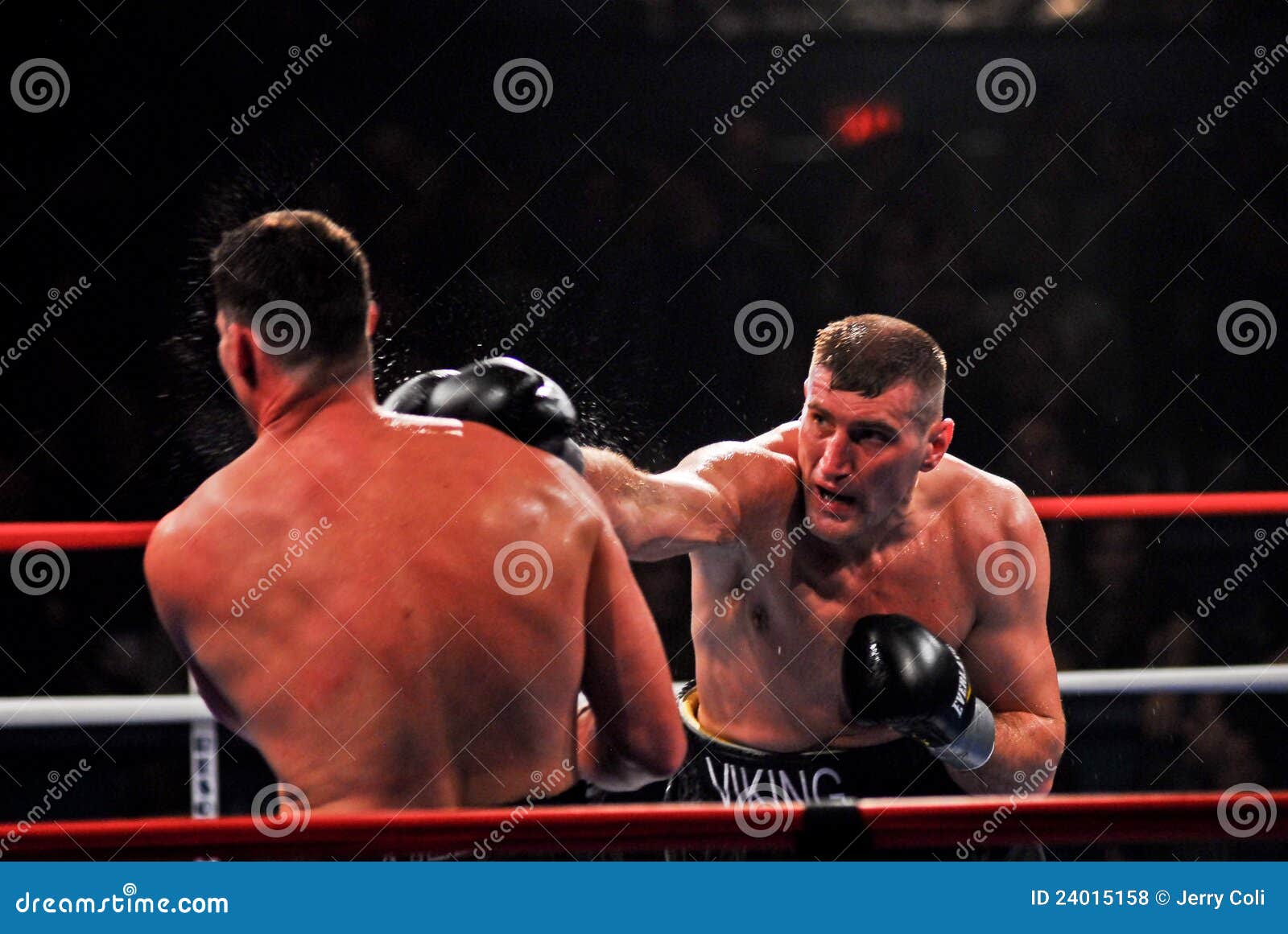Wach Catches Fields Heavyweight Boxing Editorial Stock Photo - Image of ...