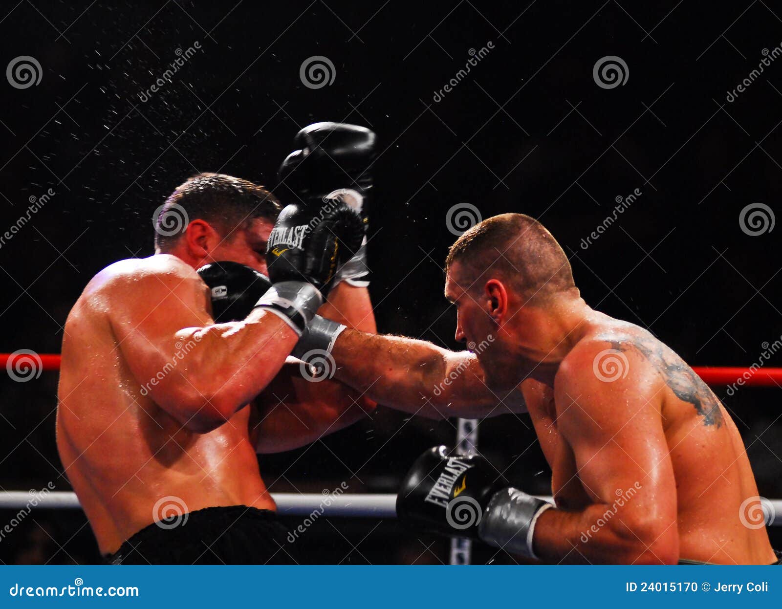 Wach Catches Fields Heavyweight Boxing Editorial Image - Image of ...