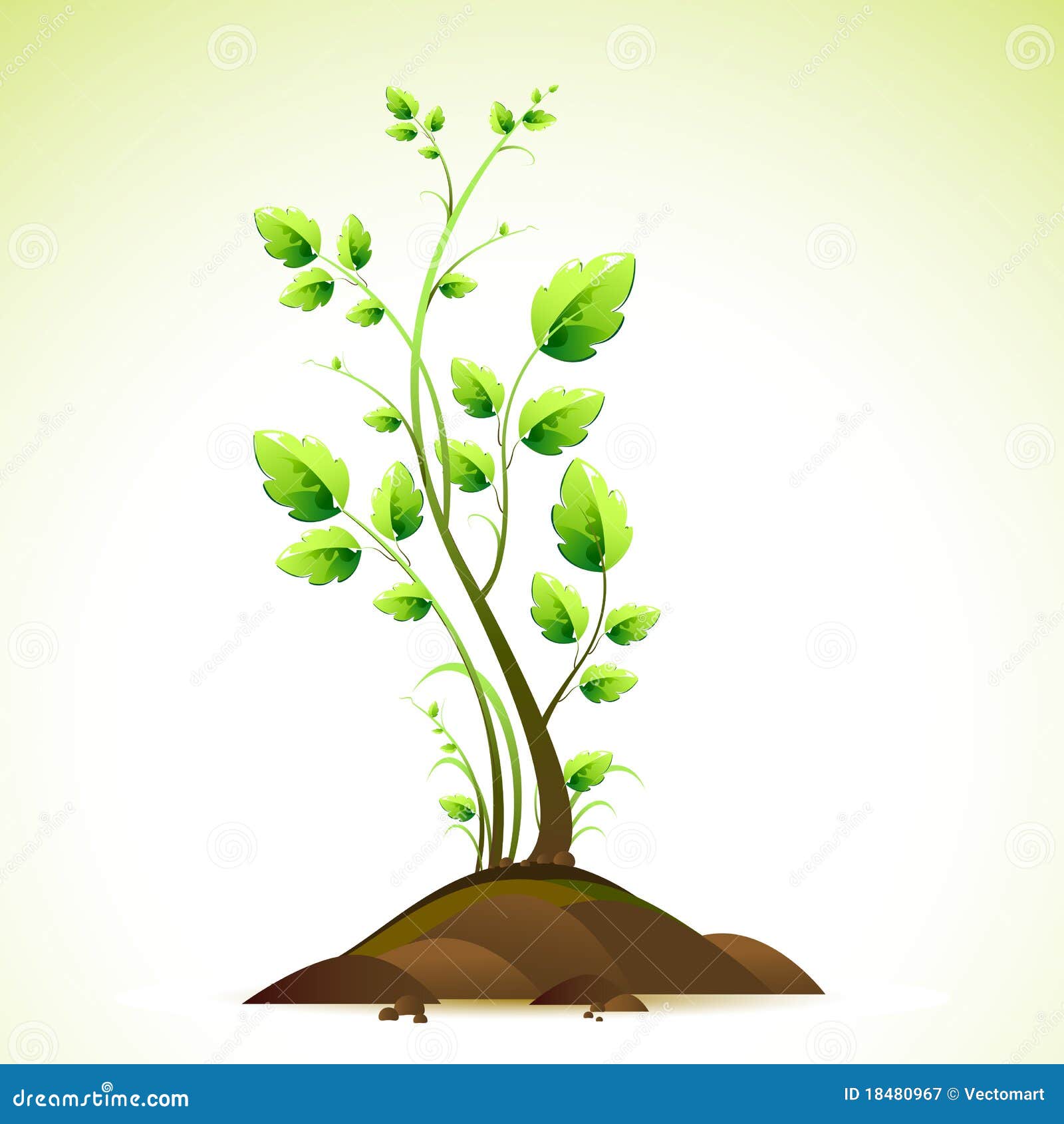 Wachsender Baum vektor abbildung. Illustration von gesund - 18480967