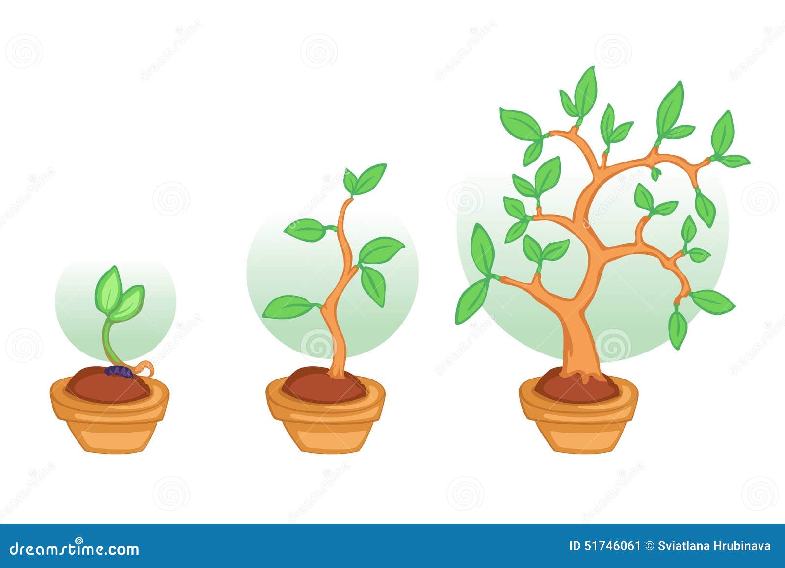 Wachsender Baum vektor abbildung. Illustration von blatt - 51746061