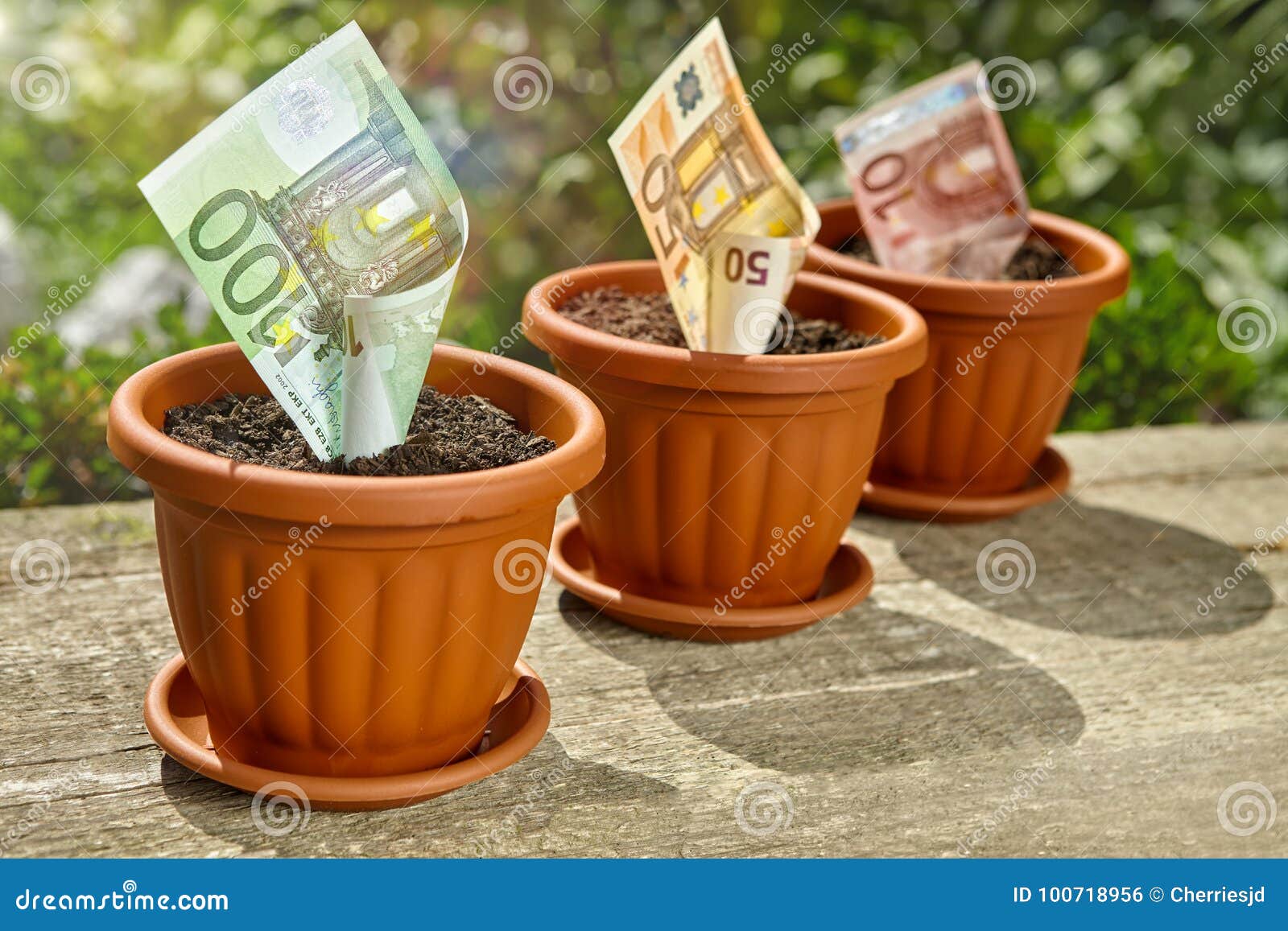Wachsendes Geld Im Blumentopf Stockfoto - Bild von finanzierung, boden ...