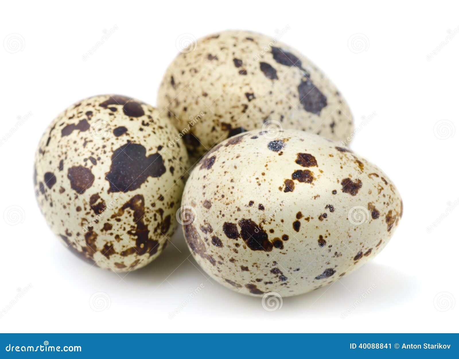 Wachteleier stockbild. Bild von essen, alternativen, vögel - 40088841