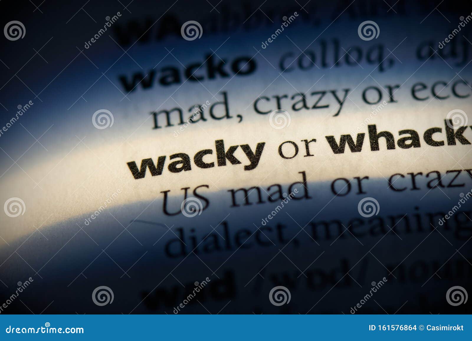 Wacky stock photo. Image of vocabulary, idea, book, meaning - 161576864