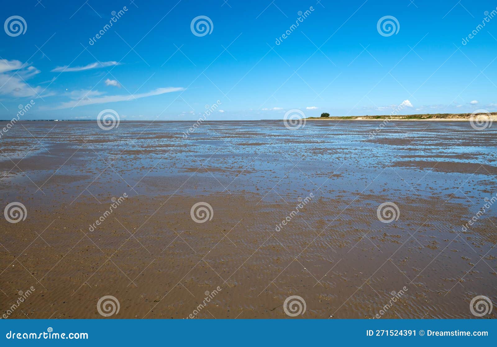 Wadden sea stock image. Image of water, denmark, shore - 271524391