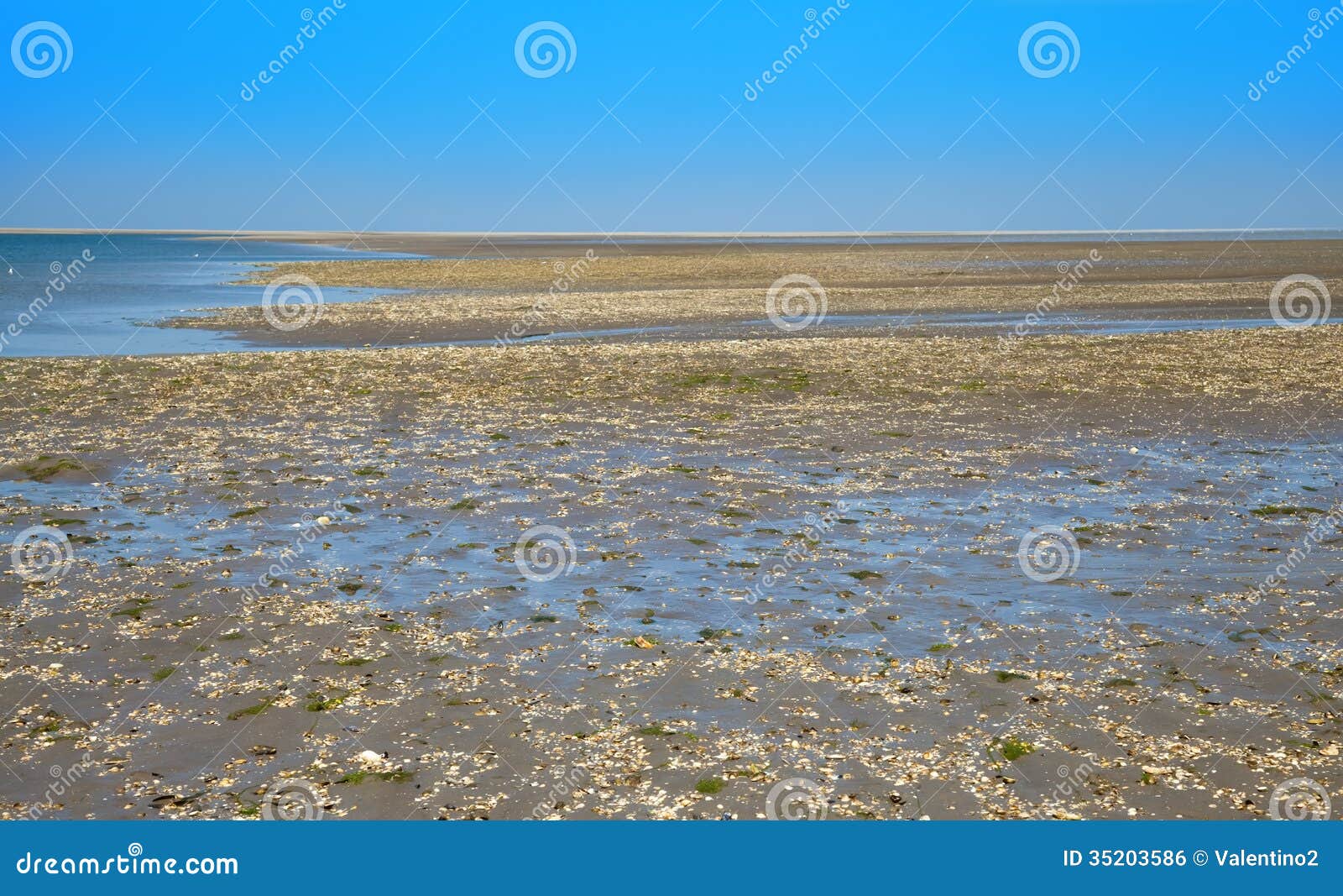 Wadden sea stock photo. Image of nature, tide, park, ocean - 35203586