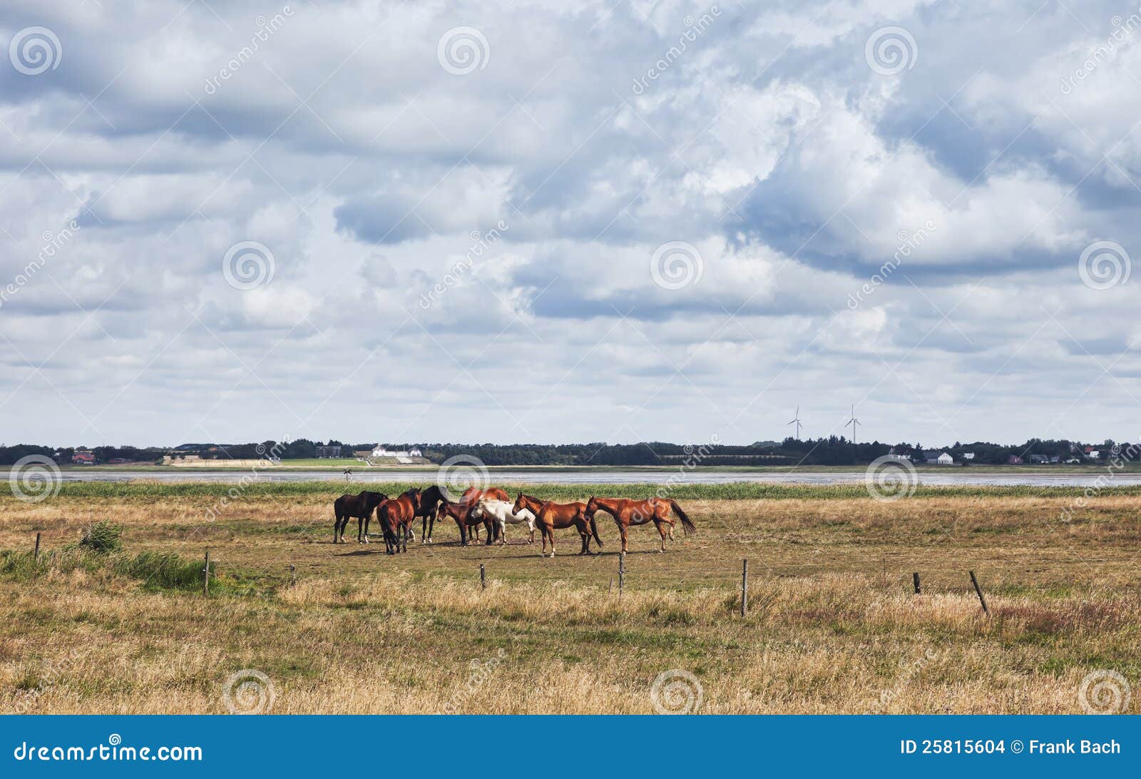 Wadden Sea in Esbjerg, Denmark Stock Photo - Image of western, foam ...